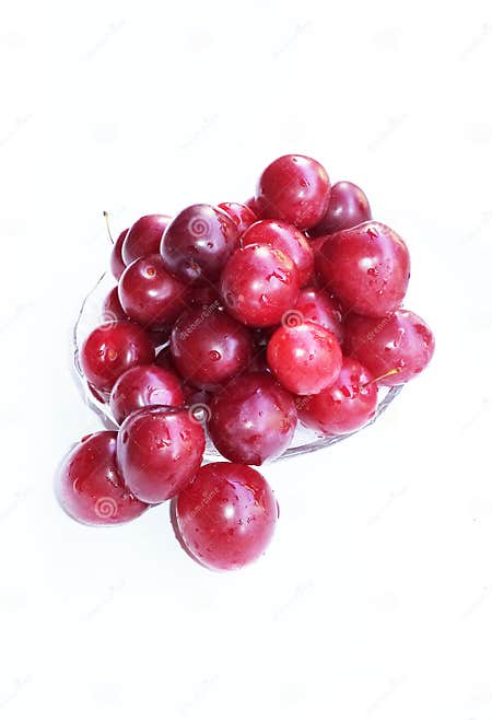 Preem stock image. Image of preem, agriculture, product - 50116433