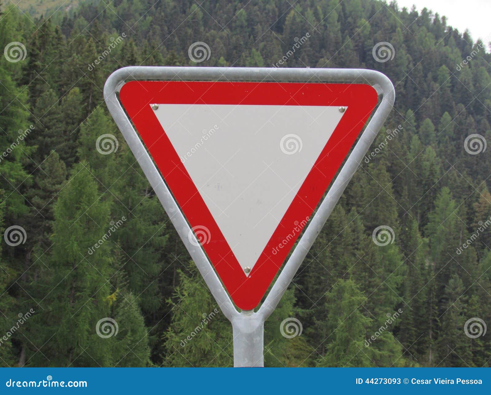 Preference stock image. Image of drivers, trees, landscape - 44273093