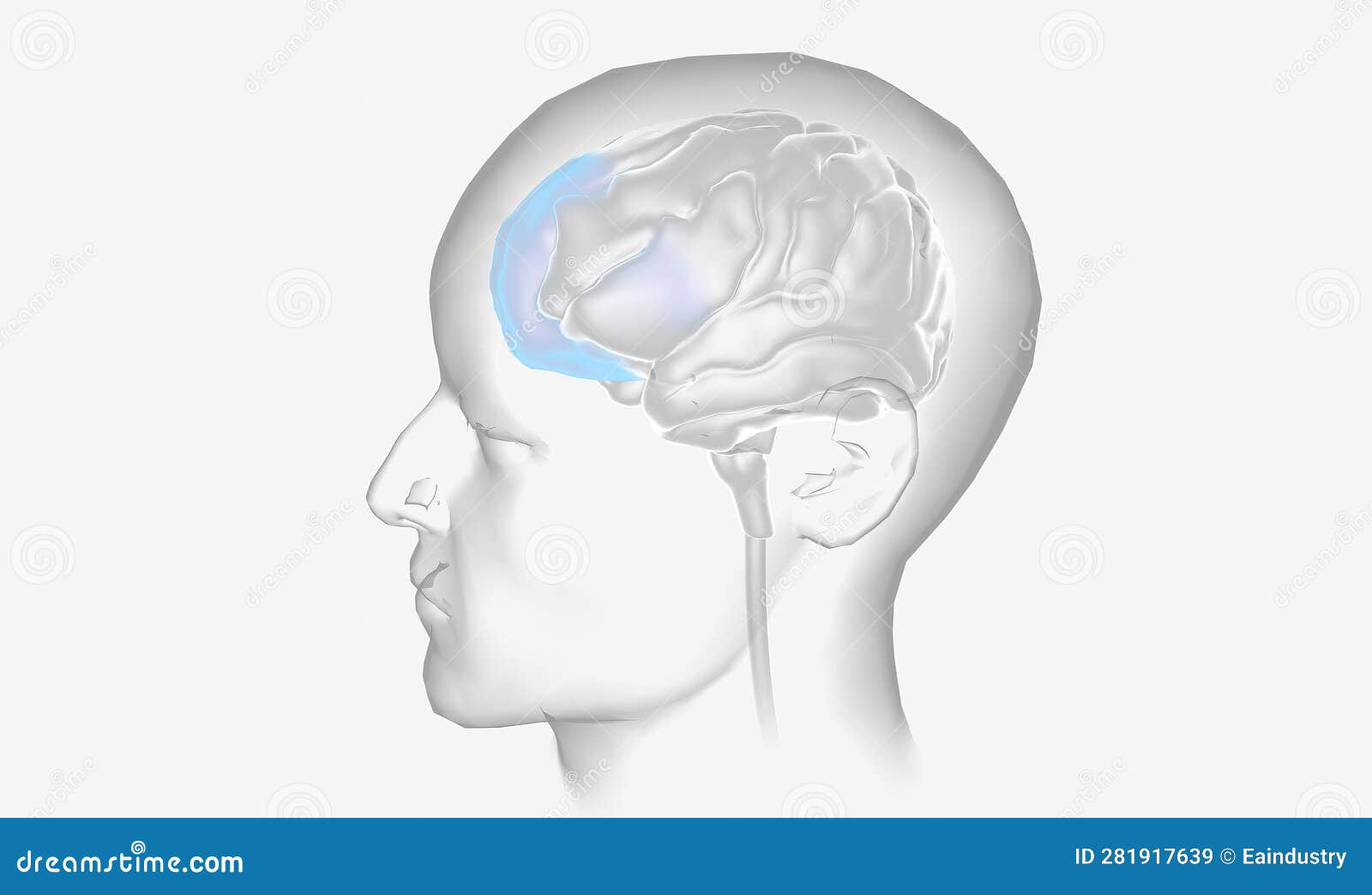 The Prefrontal Cortex Brain Stimulation Stock Illustration ...