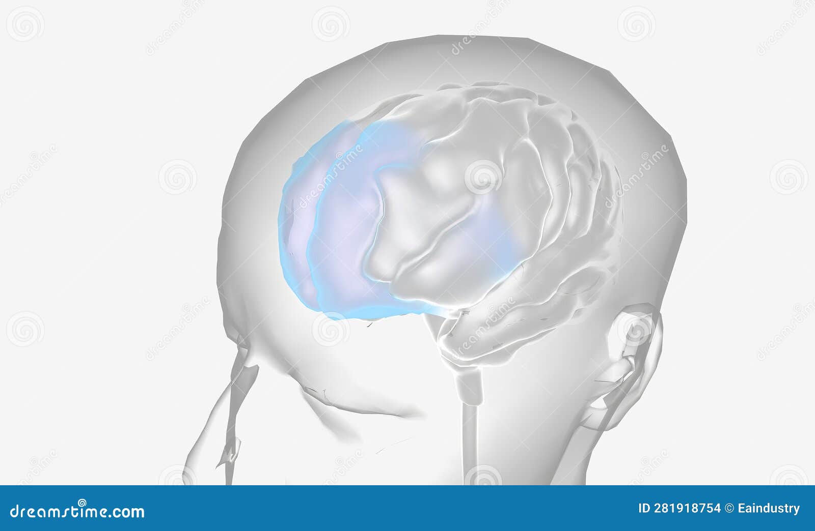 The Prefrontal Cortex Brain Stimulation Stock Illustration ...