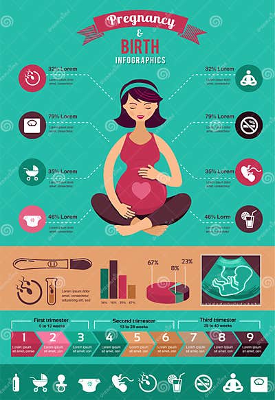 Pregnancy and Birth Infographics, Icon Set Stock Vector - Illustration ...