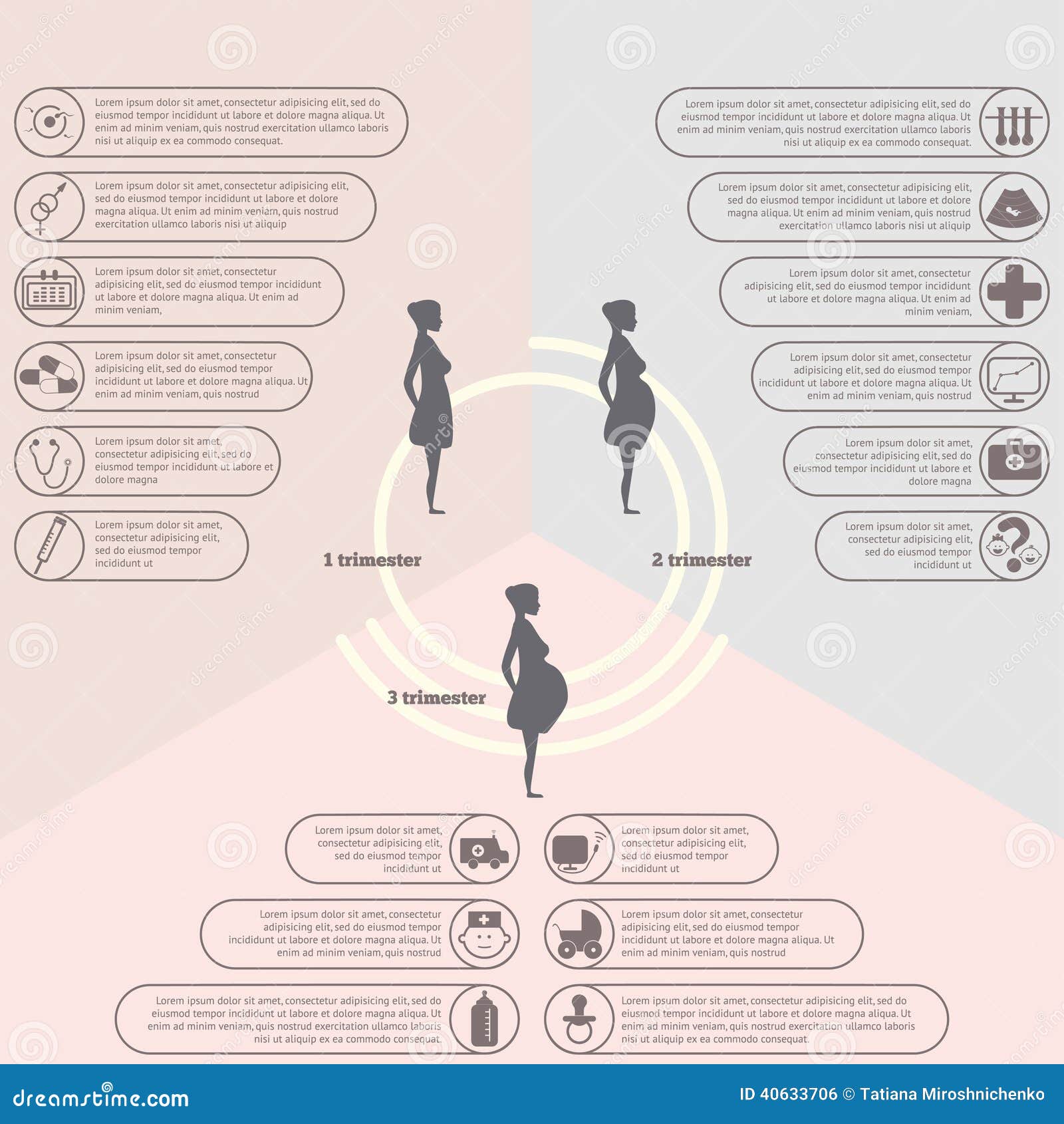 Pregnancy and Birth Infographics, Pregnancy Stages Stock Vector - Illustration of health, belly ...
