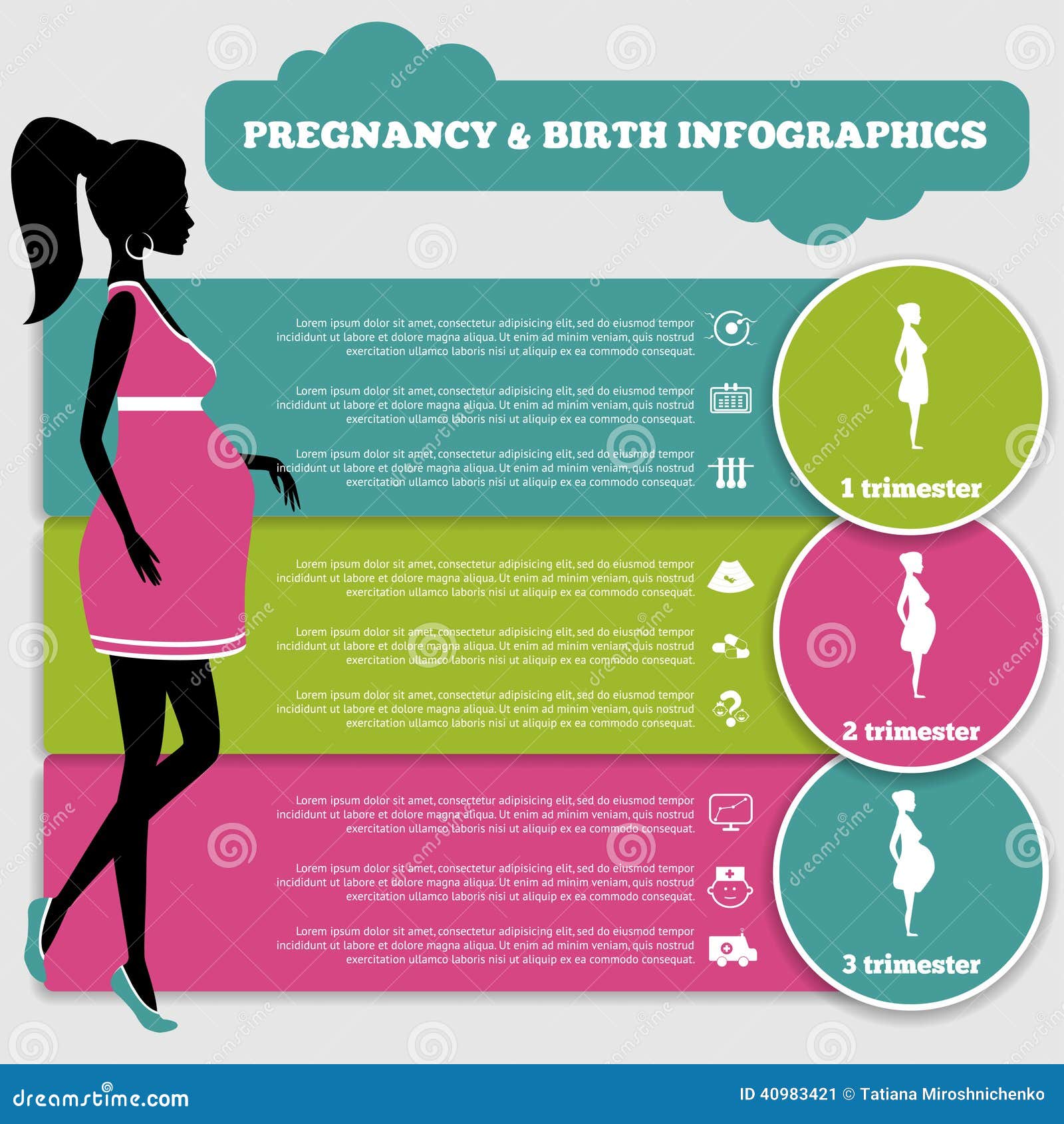 Pregnancy And Birth Infographics And Stages Stock Vector Illustration