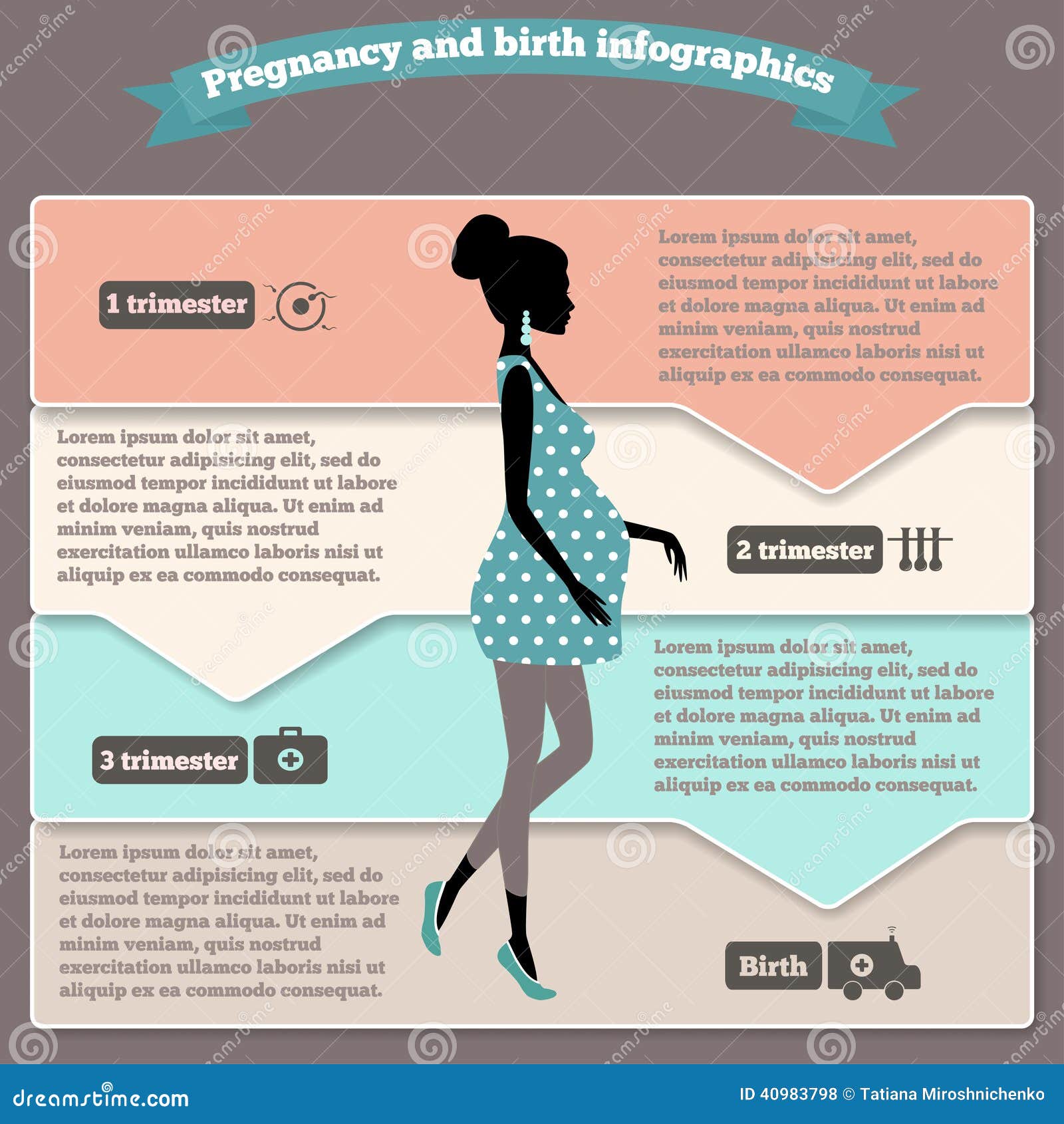 Pregnancy and Birth Infographics and Stages Stock Vector - Illustration ...