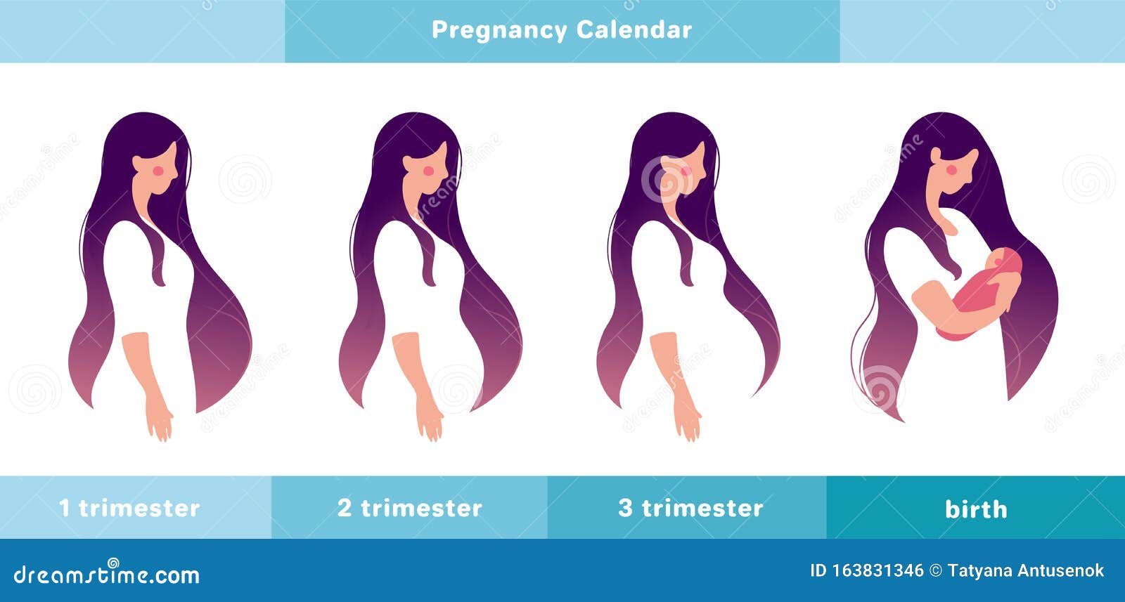 Pregnancy Calendar Main Stages A Pregnant Woman In The 1st 2nd 3rd