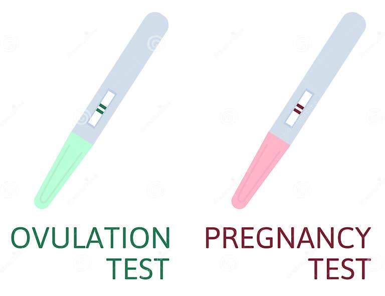 Pregnancy And Ovulation Test Flat Icons Ovulation Medical Tests Result