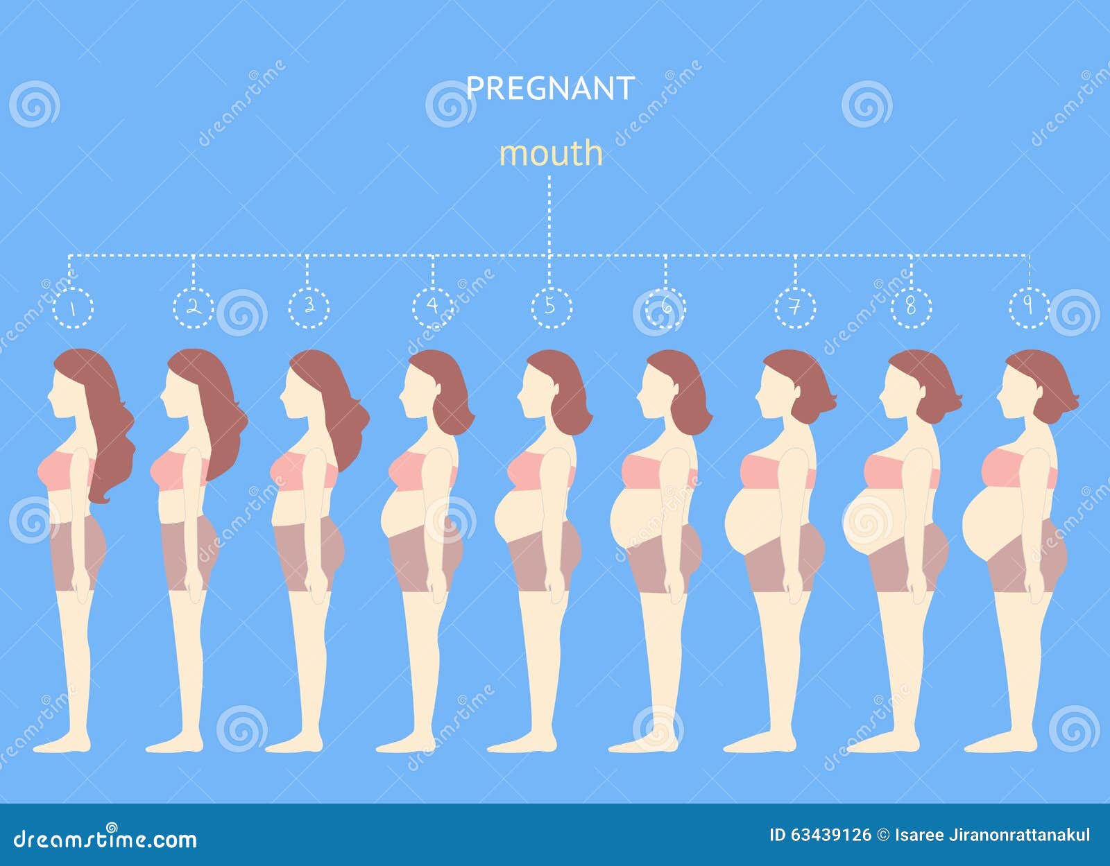 Pregnancy Stages Infographics Vector Illustration | CartoonDealer.com ...