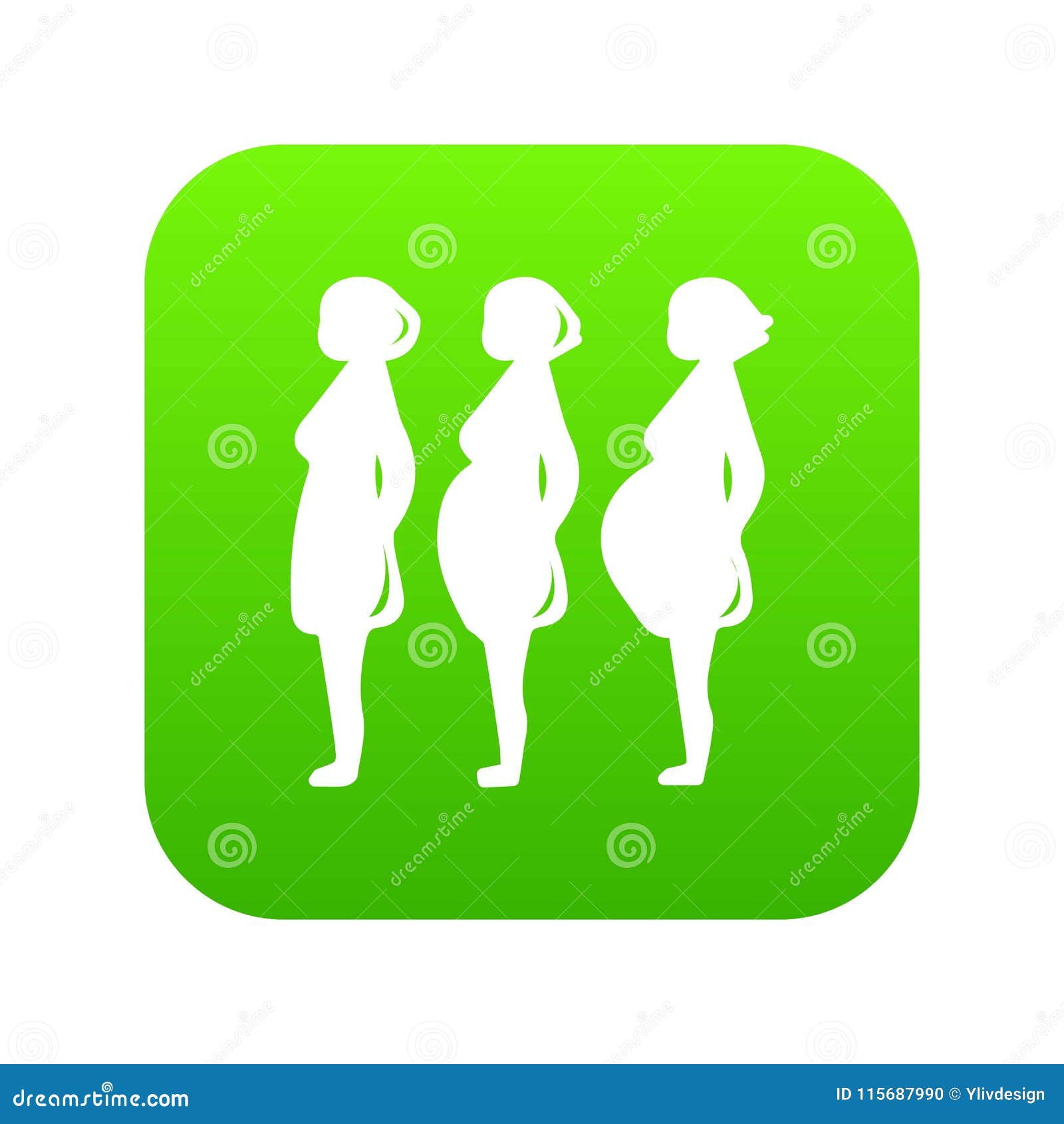 Pregnancy Stage Embryo In Uterus With Umbilical Cord Black Line Icon ...