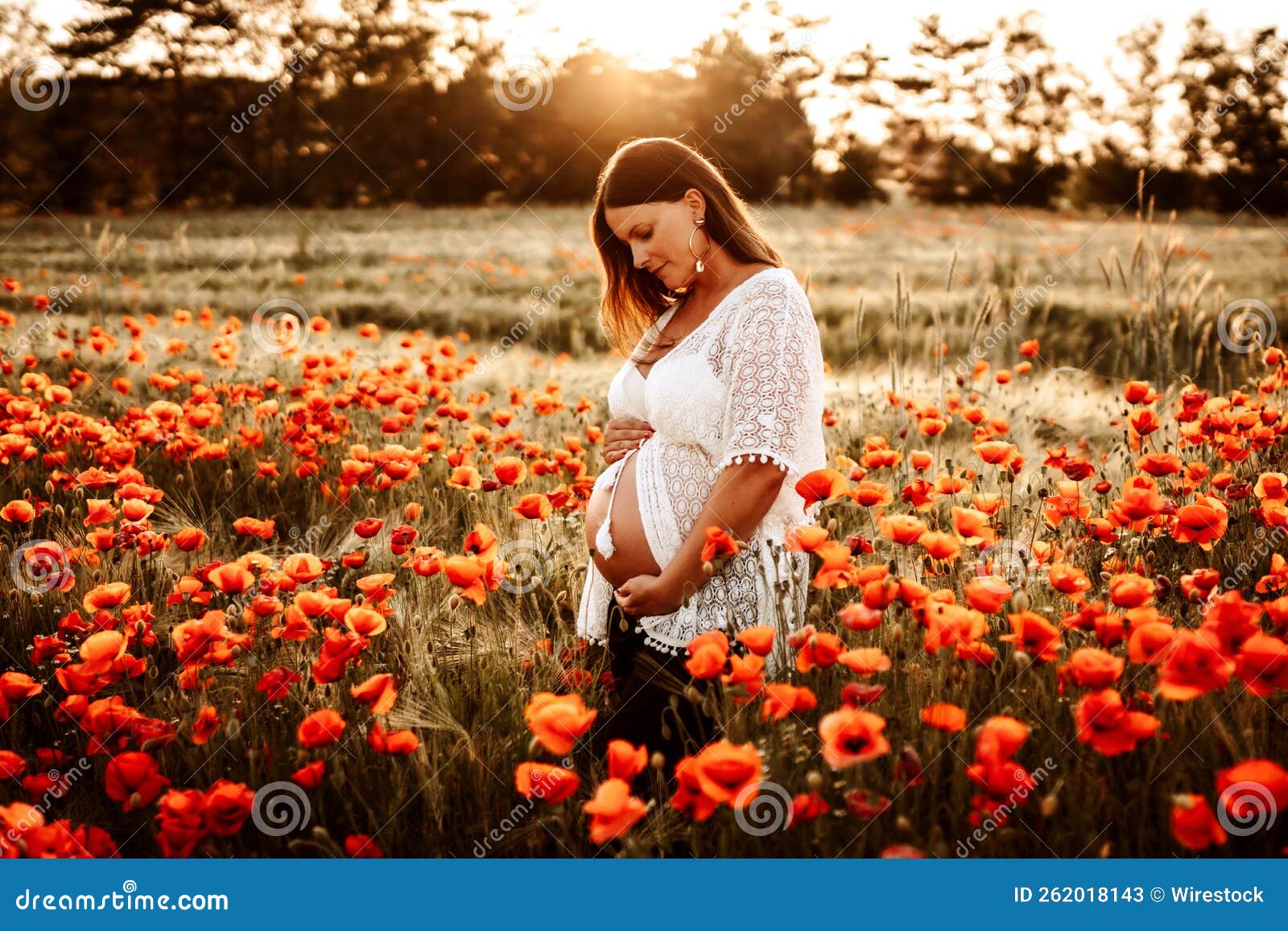Pregnant Model Posing for a Photoshoot in a Field. Stock Image - Image ...