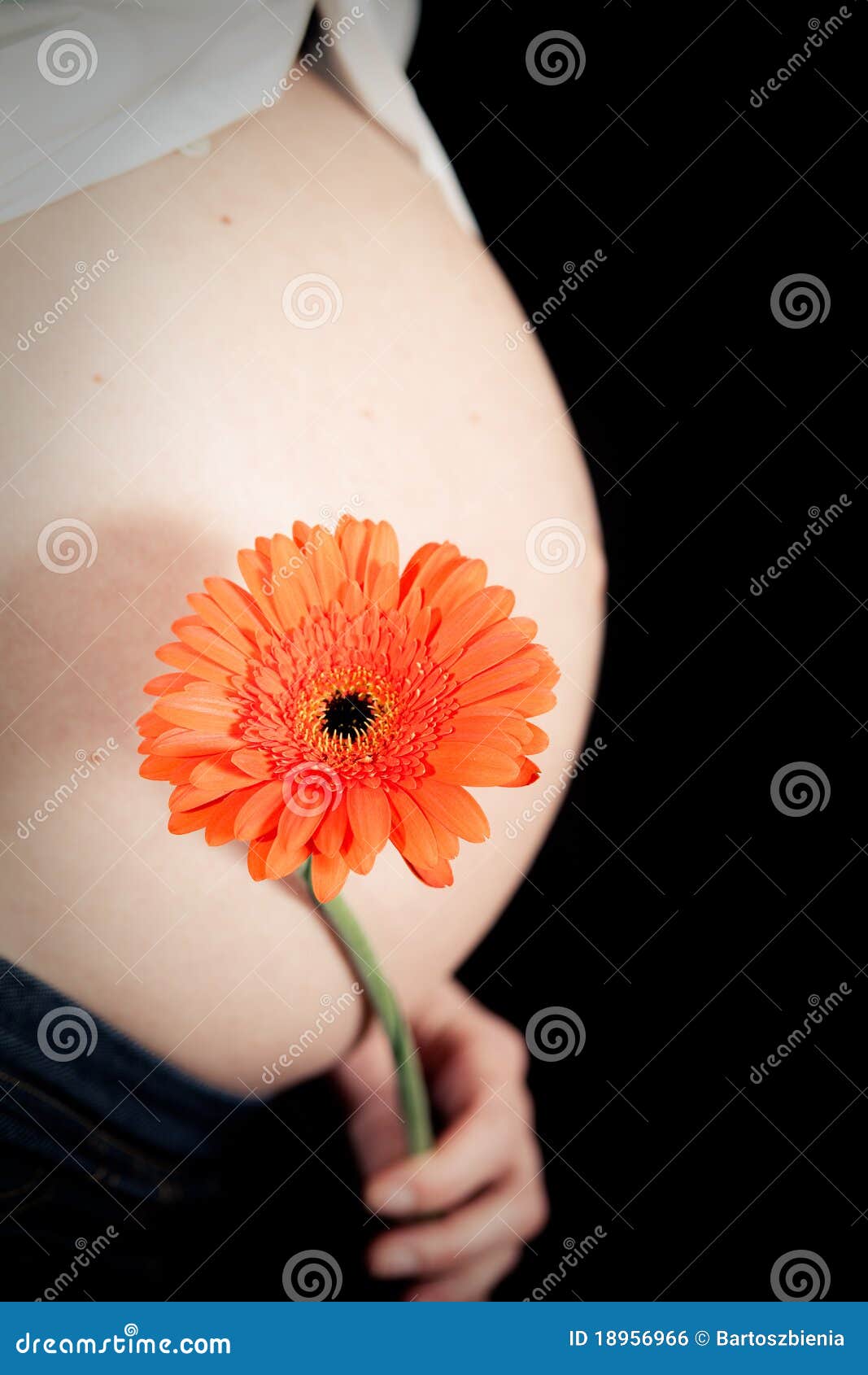 Pregnant Stomach with Flower Stock Photo - Image of body, mommy: 18956966