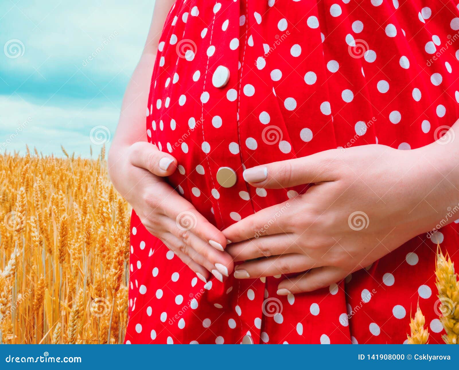 Pregnant Unrecognizable Woman In Polka Dot Red Dress Standing In Wheat