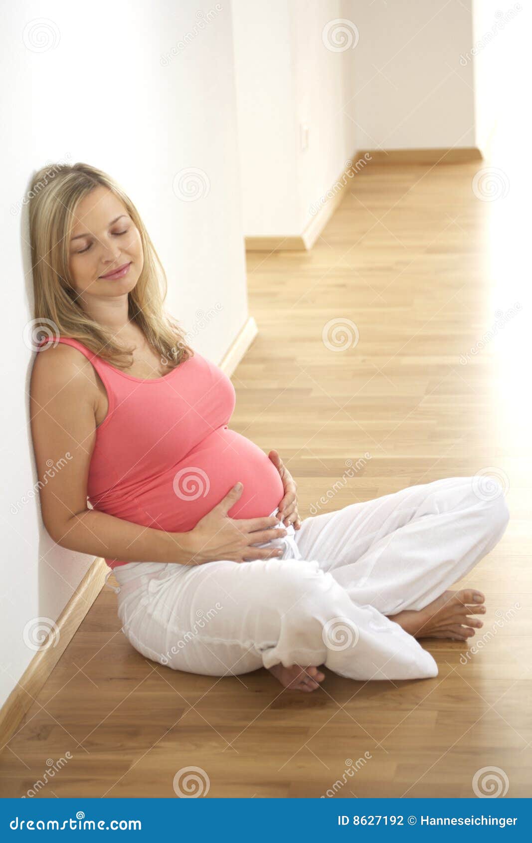 Pregnant woman stock photo. Image of person, lifestyle - 8627192
