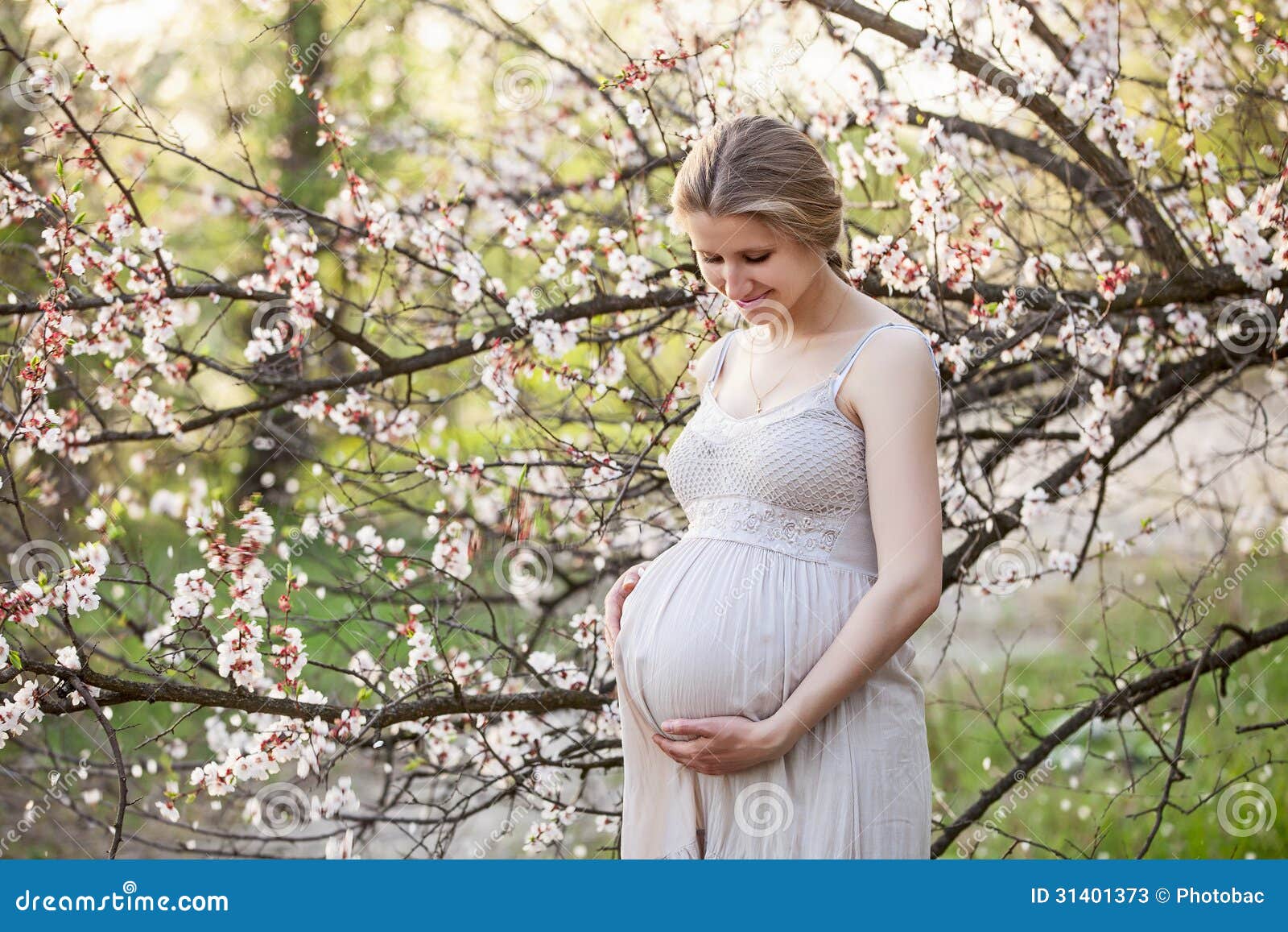 Pregnant Woman Against Blossoming Tree in Spring Stock Image - Image of ...