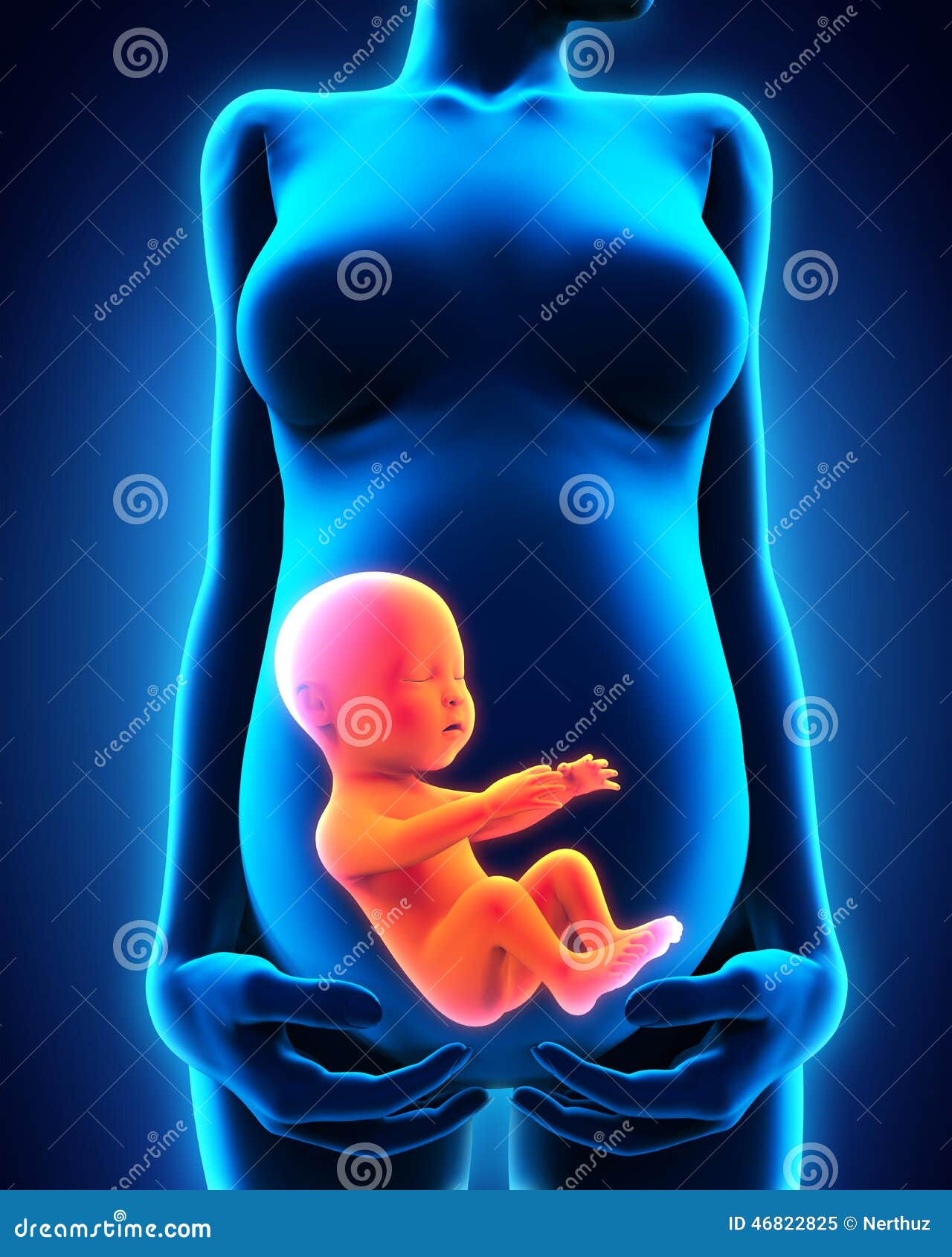 Pregnant Woman Illustration Stock Illustration - Illustration of birth ...