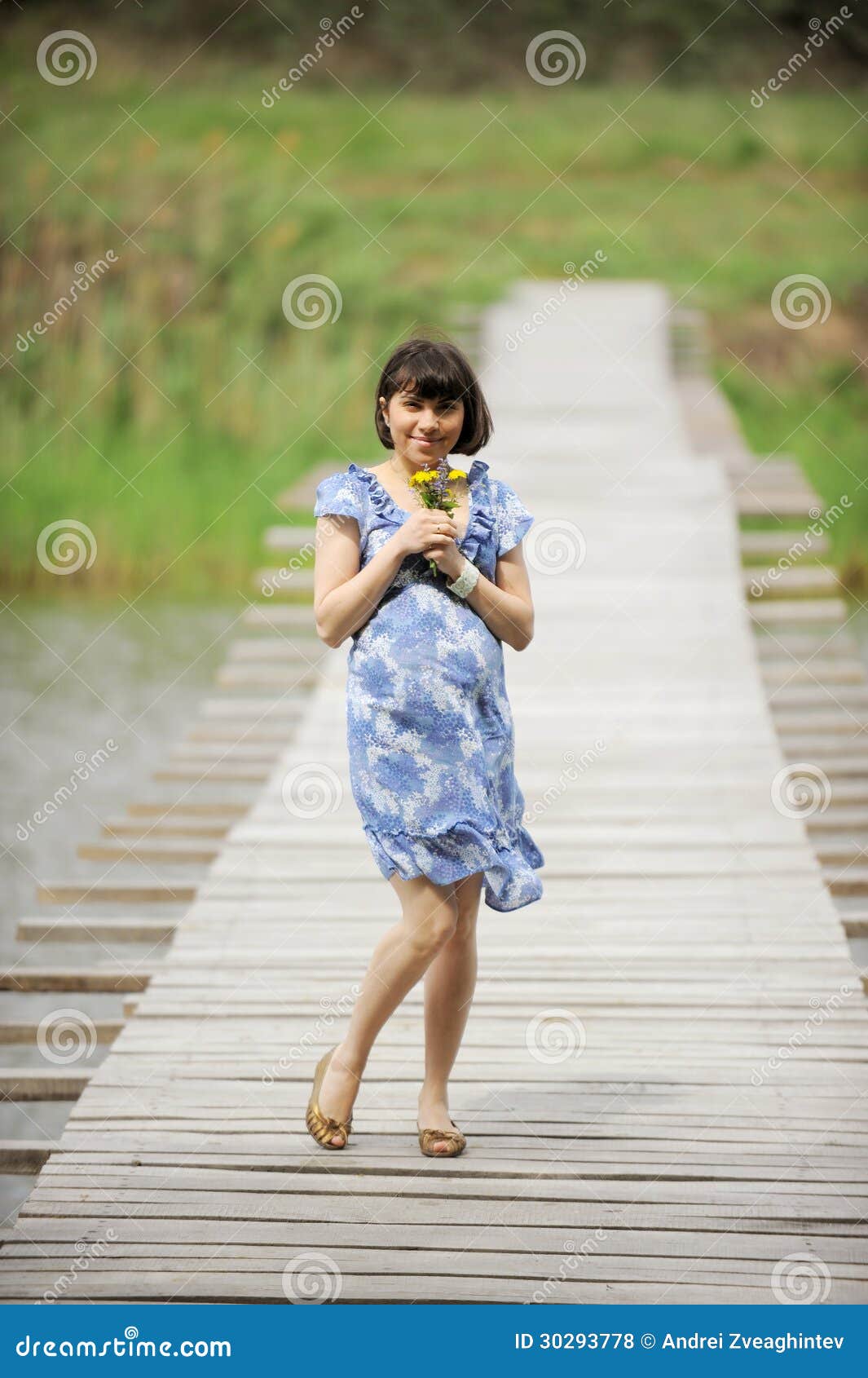 Pregnant Girl on Bridge stock photo. Image of beauty - 30293778