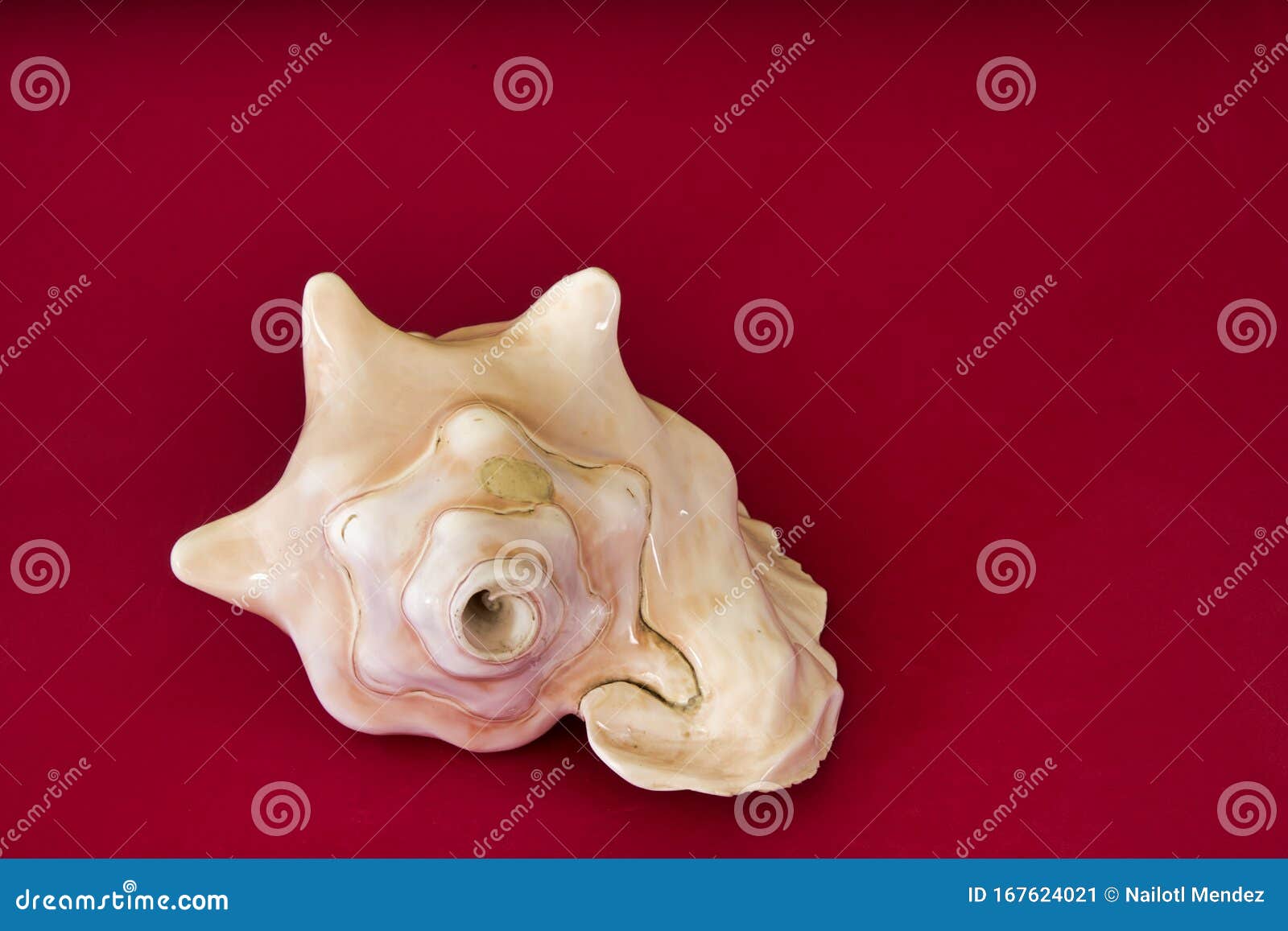 Prehispanic Instrument of Mexico, Caracol Azteca Stock Image - Image of ...