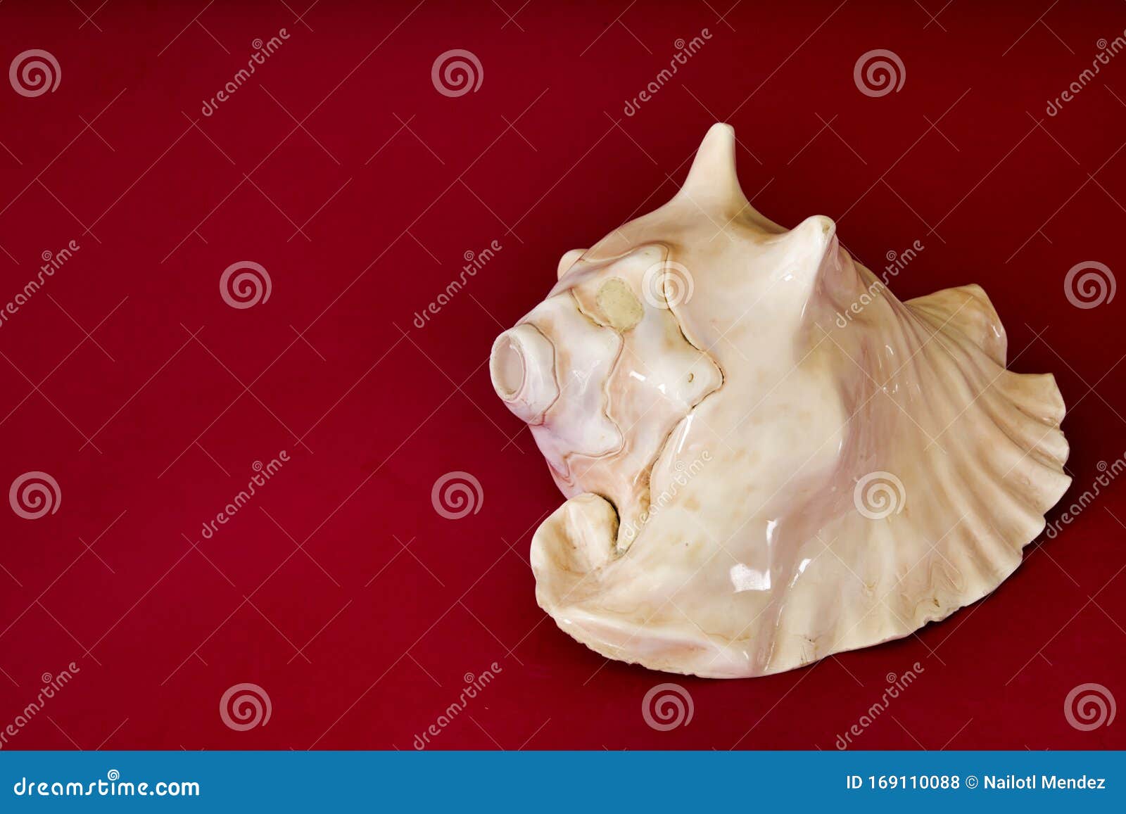 Prehispanic Instrument of Mexico, Caracol Azteca Stock Photo - Image of ...