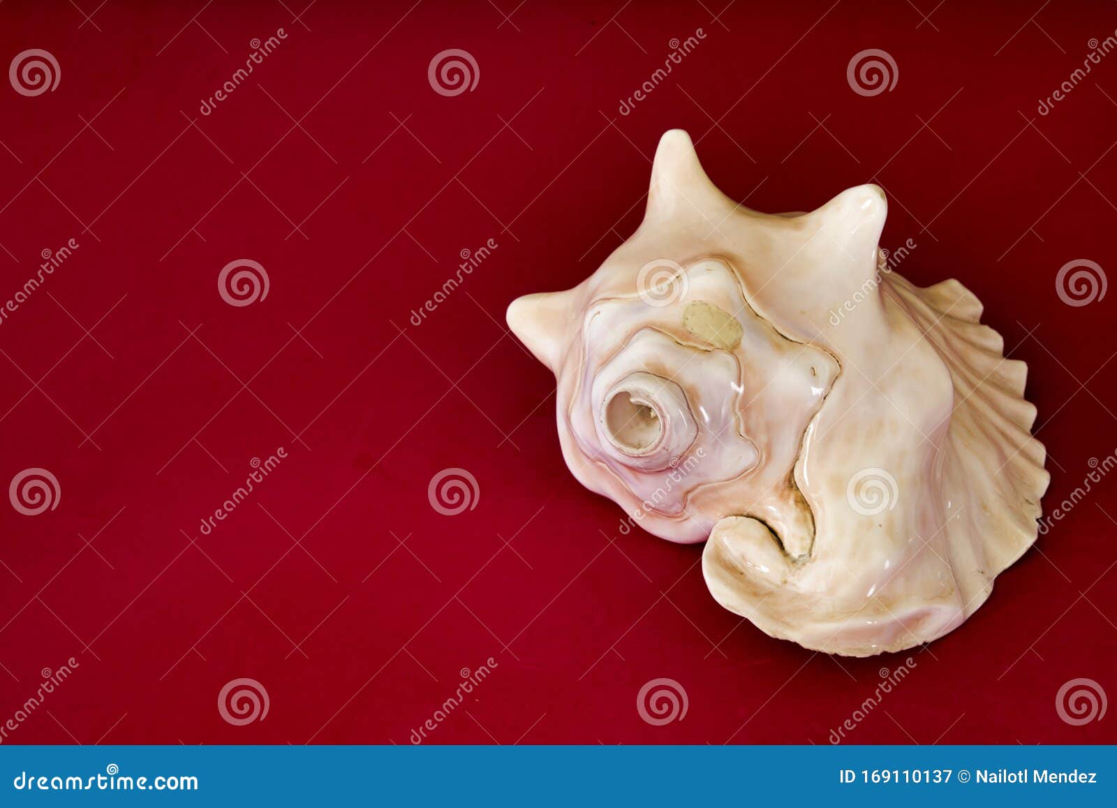 Prehispanic Instrument of Mexico, Caracol Azteca Stock Image - Image of ...