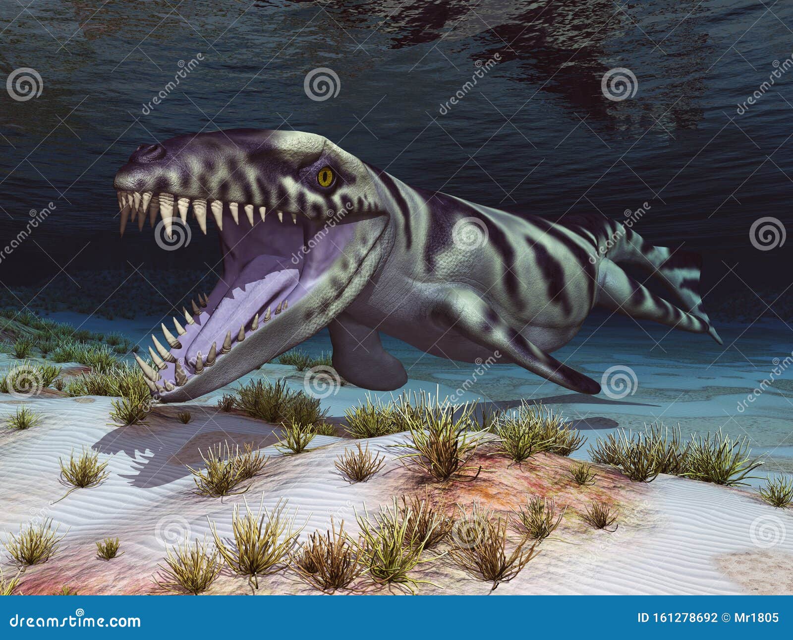 Prehistoric Crocodile Dakosaurus Stock Illustration - Illustration of ...