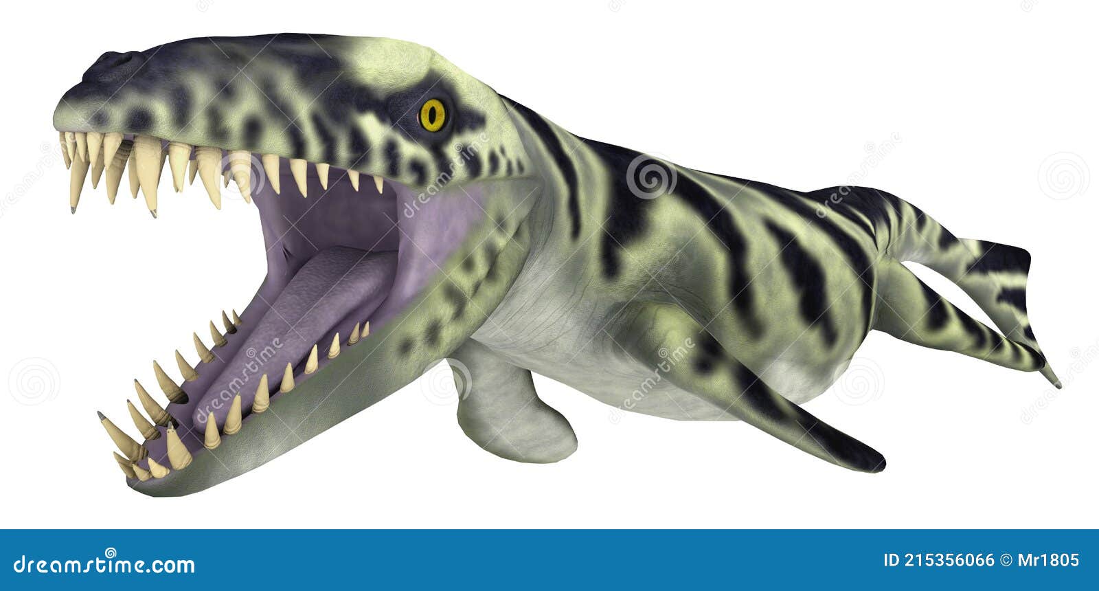 Dakosaurus Isolated Stock Illustrations – 15 Dakosaurus Isolated Stock ...