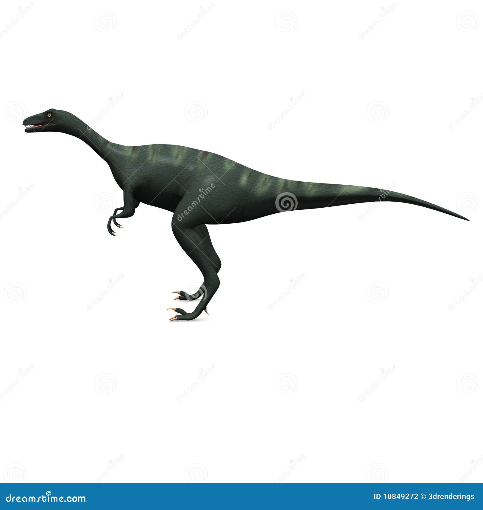 Eoraptor Dinosaur Silhouette Vector Illustration | CartoonDealer.com ...