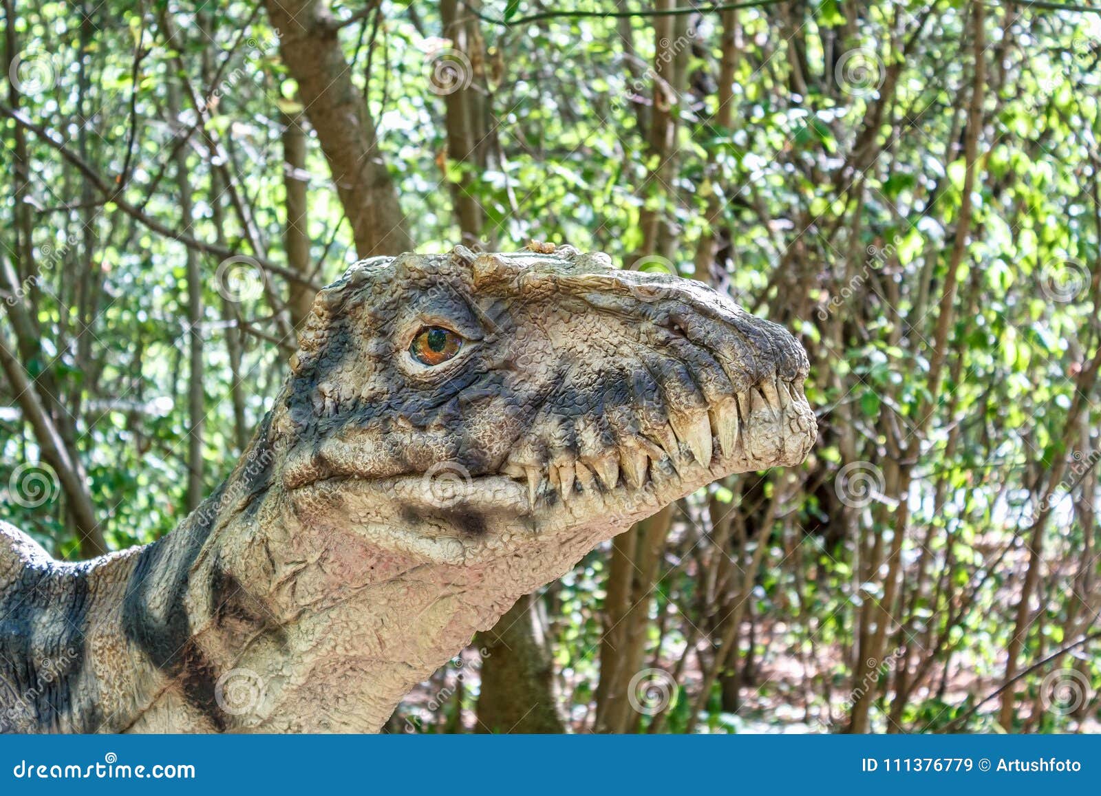 Prehistoric Dinosaurs Raptor Editorial Stock Image - Image of attack ...