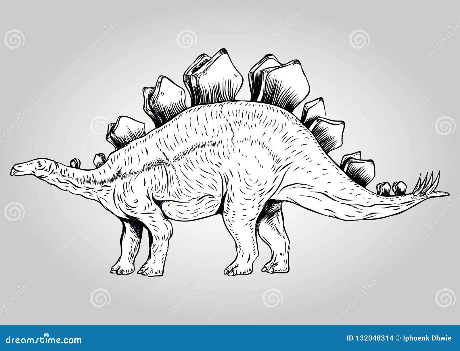 Stegosaurus Walk Alone Prehistoric Dinosaurs Vector Illustration Stock ...