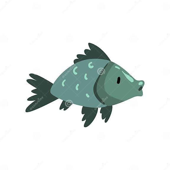 Prehistoric Fish, Biology Evolution Stage, Evolutionary Process Vector ...
