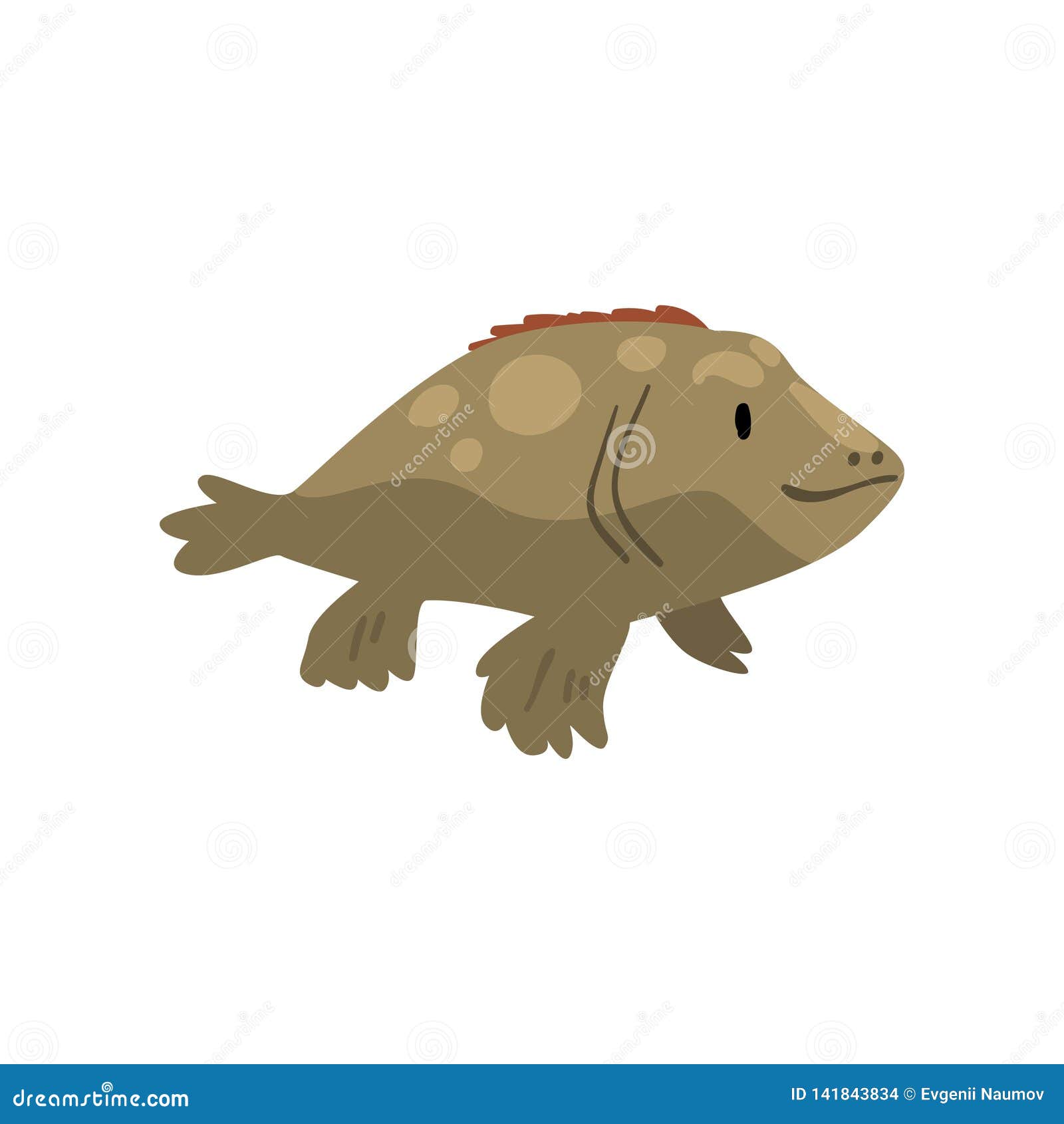 Prehistoric Fish, Biology Evolution Stage Vector Illustration Stock ...