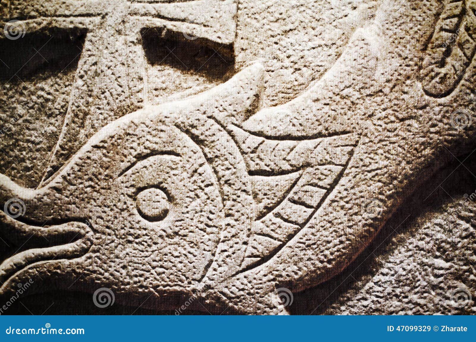 Prehistoric fish stock image. Image of fish, extinct - 47099329