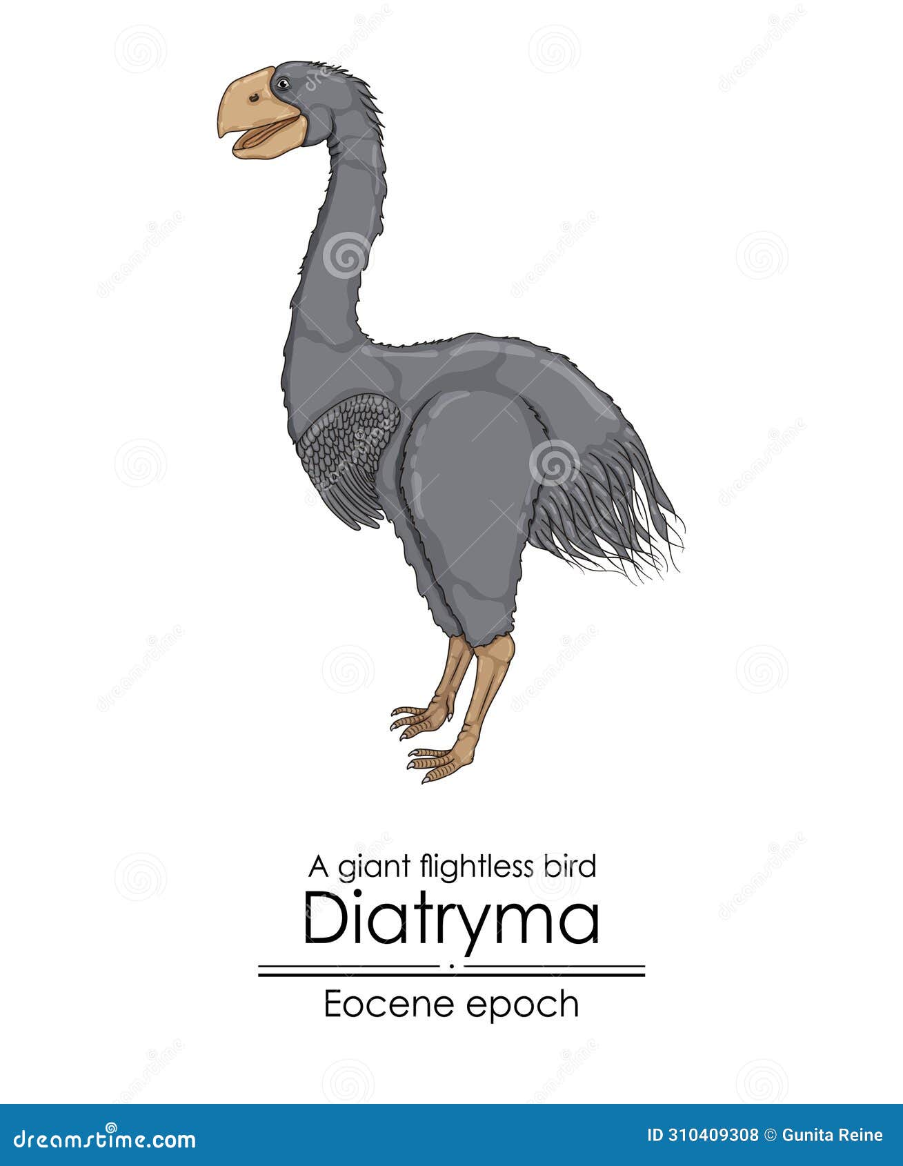 Gastornis Are An Extinct Genus Of Large Flightless Birds That Lived ...