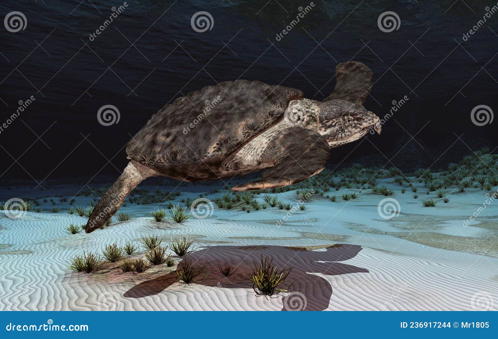 Prehistoric Giant Sea Turtle Archelon Royalty-Free Cartoon ...