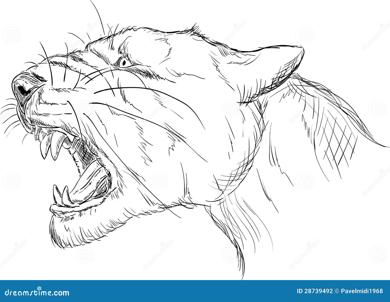 Outline Smilodon Vector Icon. Isolated Black Simple Line Element ...
