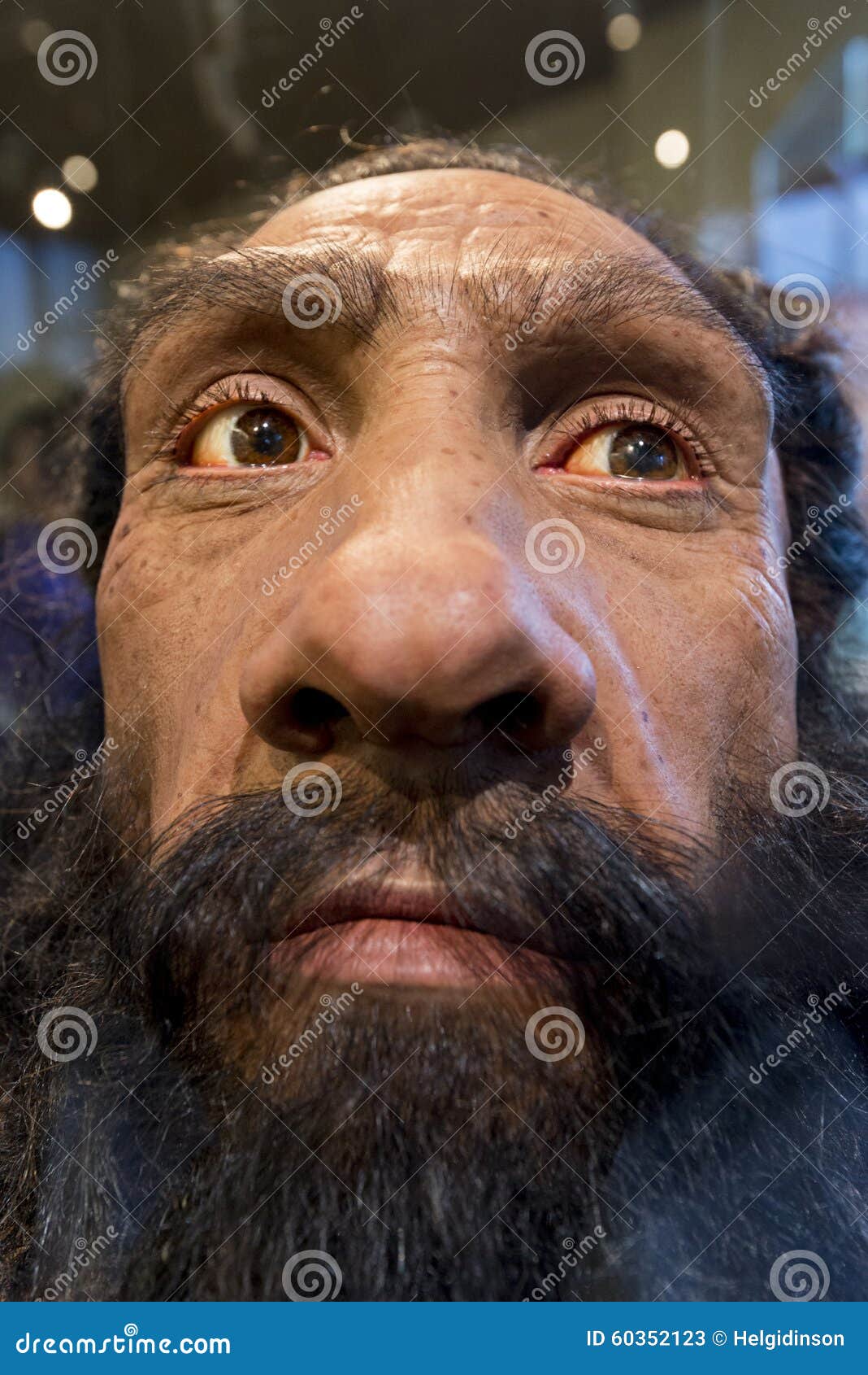 Prehistoric Man (wax Model) Editorial Stock Photo - Image of expression ...