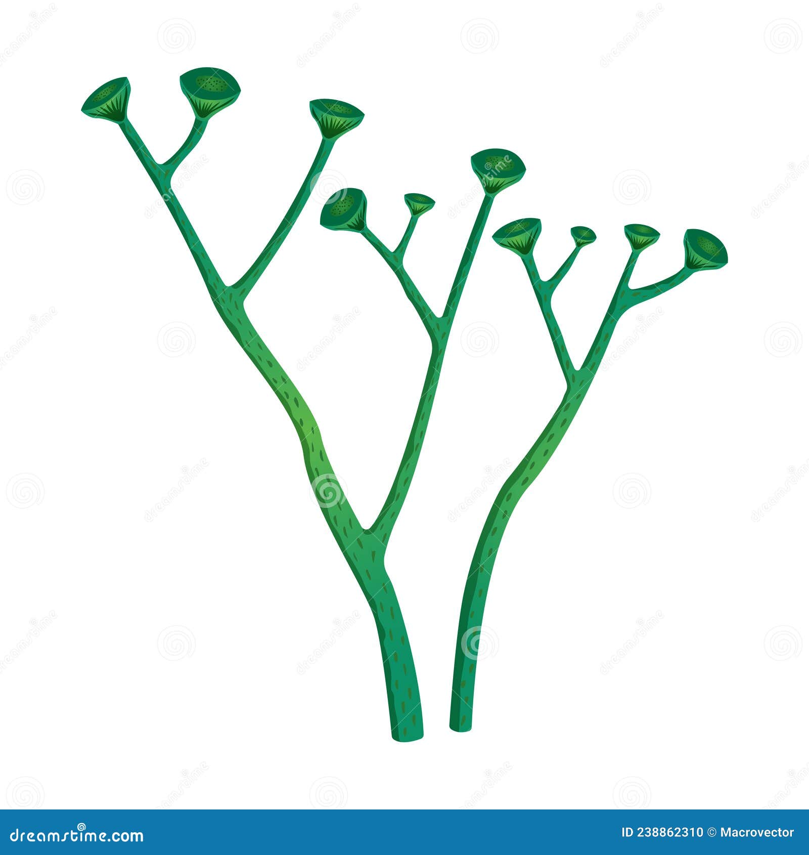 Prehistoric Plant Icon In Cartoon Style Isolated On White Background ...