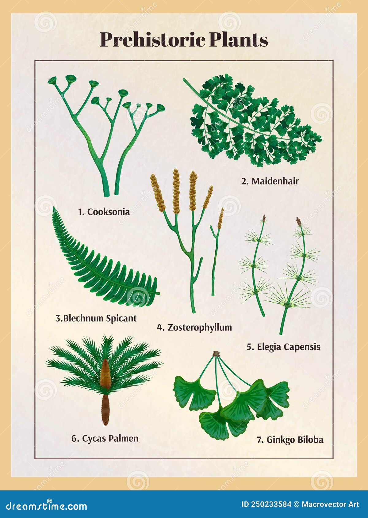 Prehistoric Plants Botanical Set Stock Vector - Illustration of fern ...