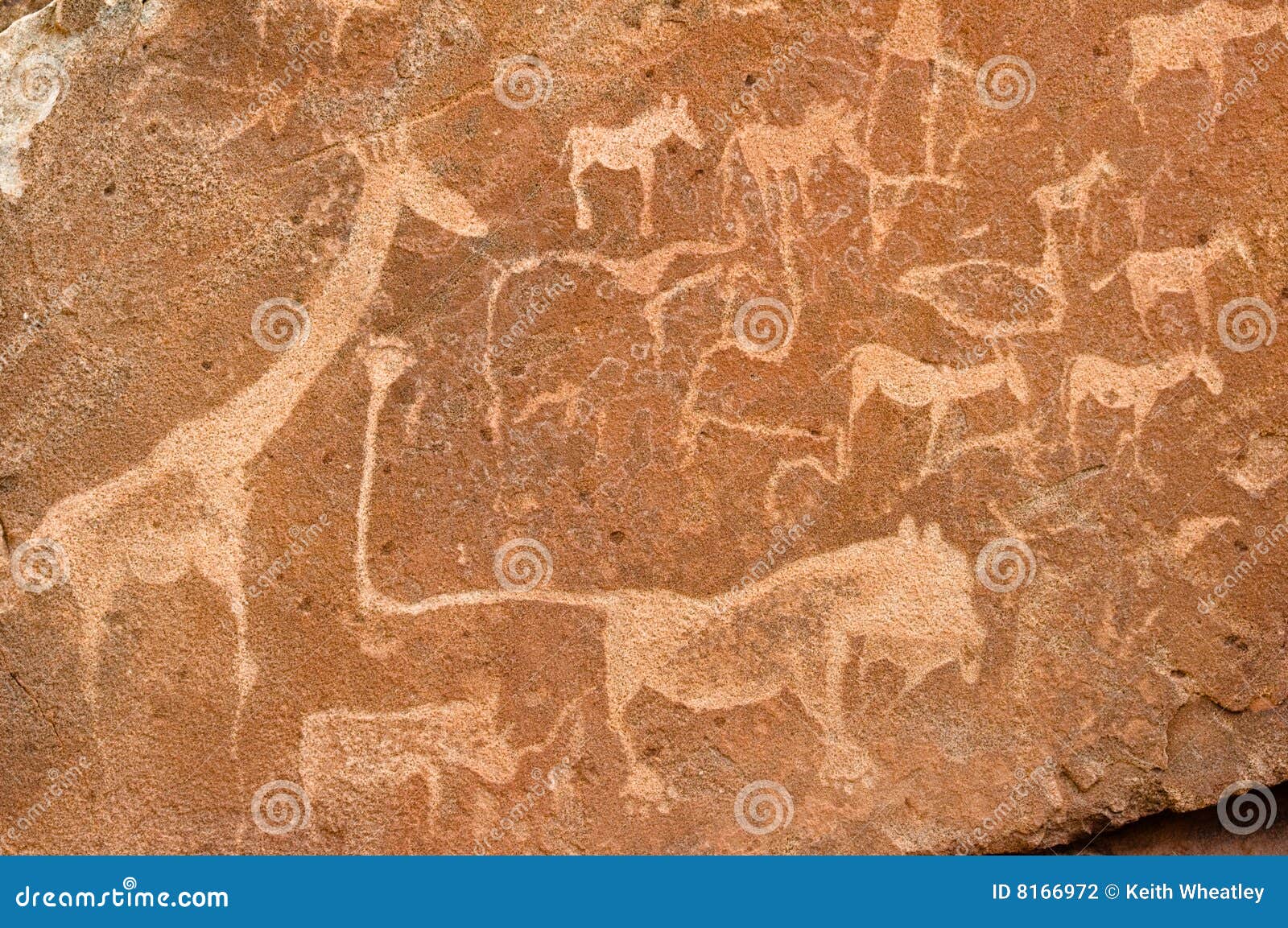 Prehistoric Rock Carvings, Namibia Stock Photography - Image: 8166972