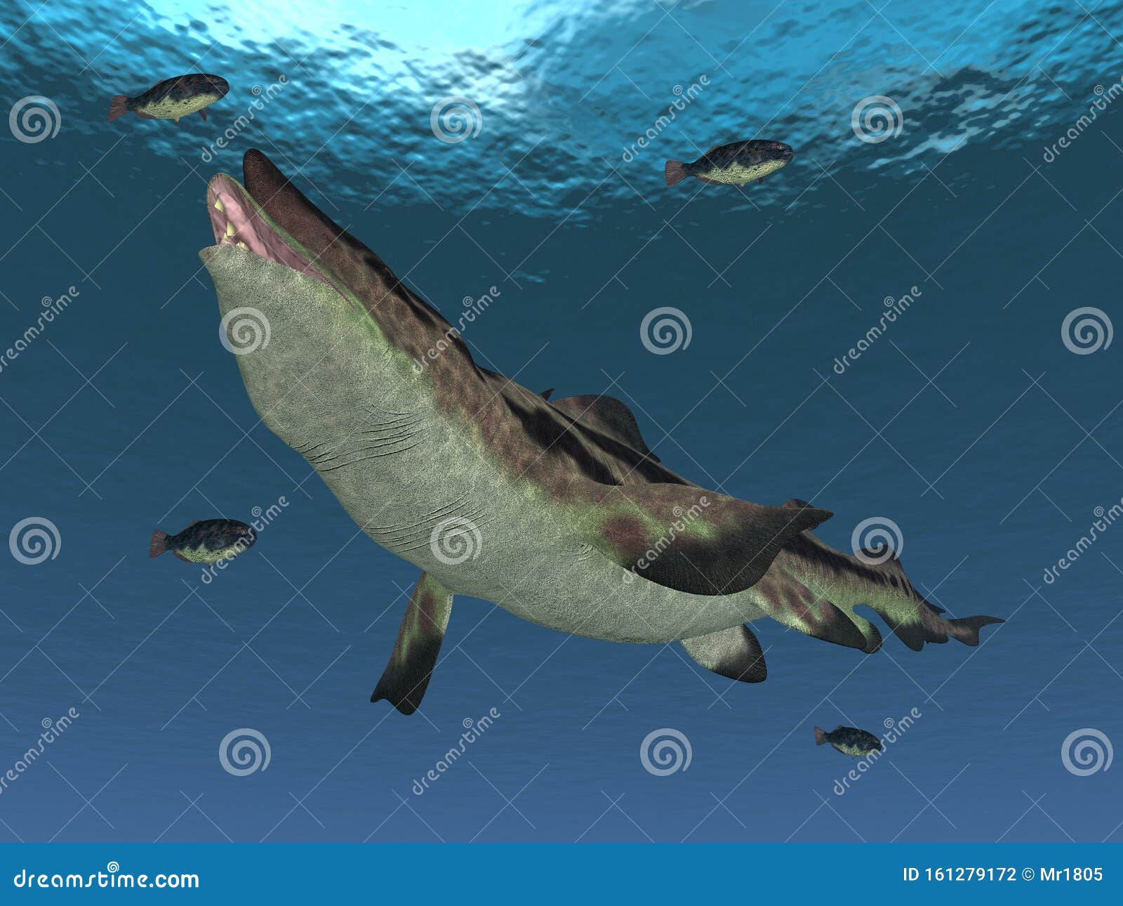 Prehistoric shark Edestus stock illustration. Illustration of ...