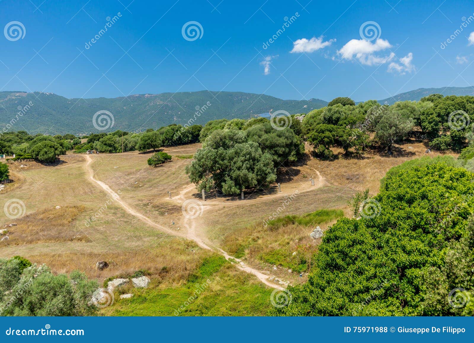 Prehistoric Statues in the Corsica Hills - 5 Stock Photo - Image of ...