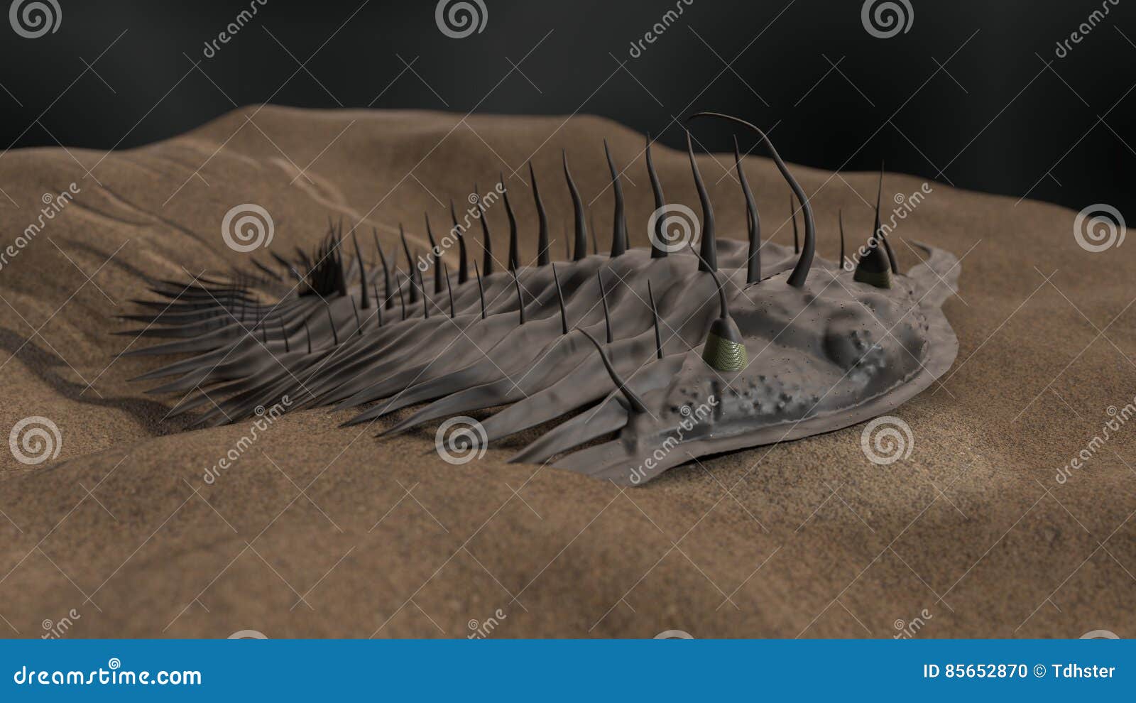 Prehistoric Trilobite 3d Illustration Stock Illustration - Illustration ...