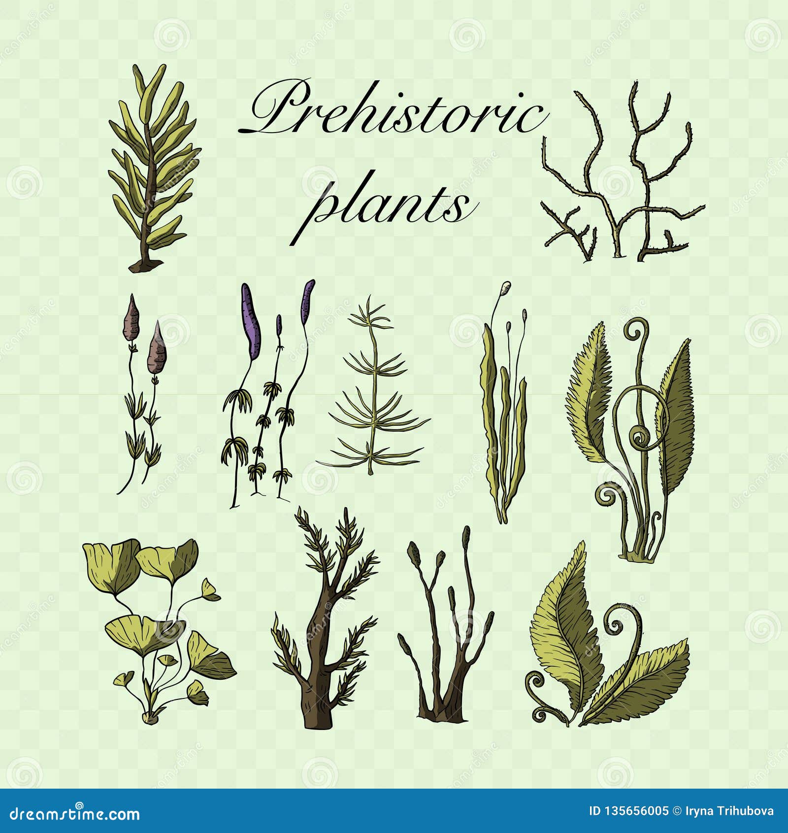 Prehistoric vector plants. stock vector. Illustration of leaf - 135656005