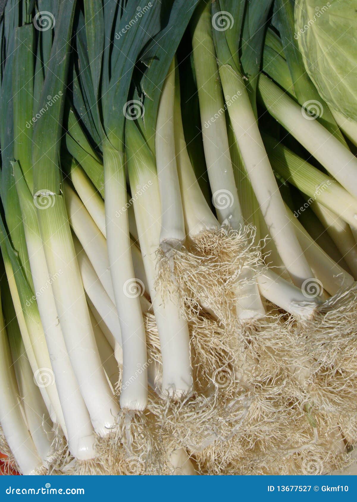 Prei stock afbeelding. Image of opbrengst, organisch - 13677527