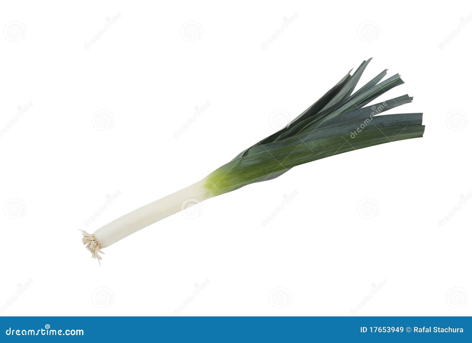 Prei stock afbeelding. Image of naughty, gezondheid, achtergrond - 17653949