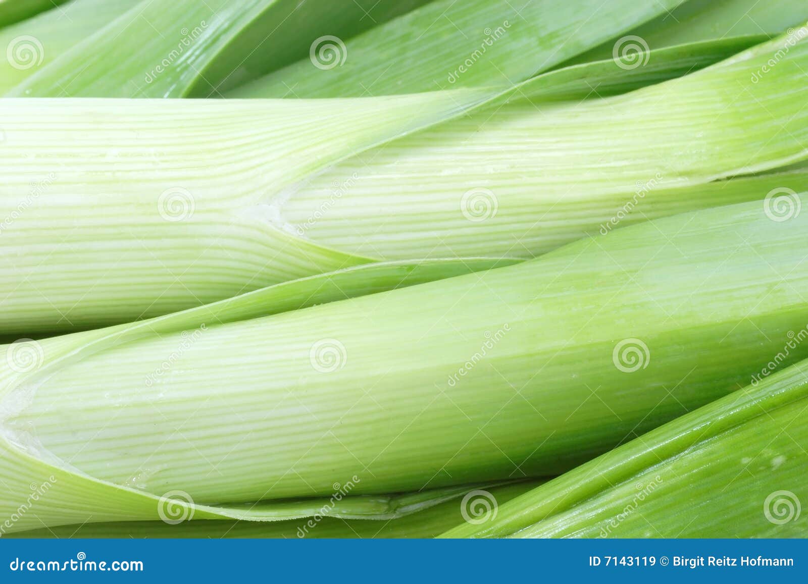 Prei stock afbeelding. Image of prei, opbrengst, huishouden - 7143119