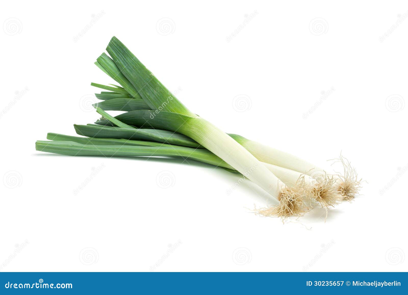 Preien Op Witte Achtergrond Stock Afbeelding - Image of eten ...