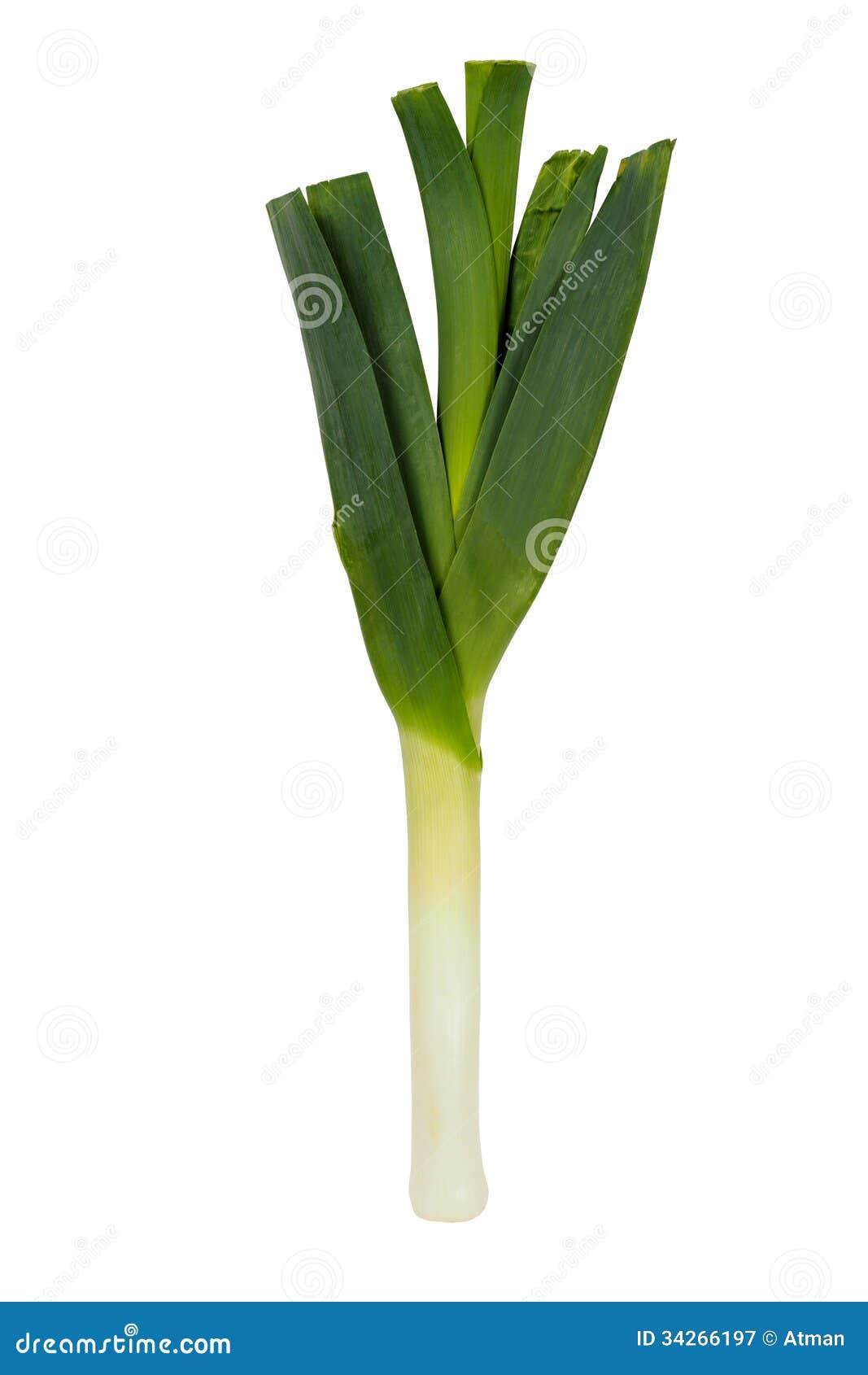 Prei op Wit stock afbeelding. Image of plantaardig, groen - 34266197