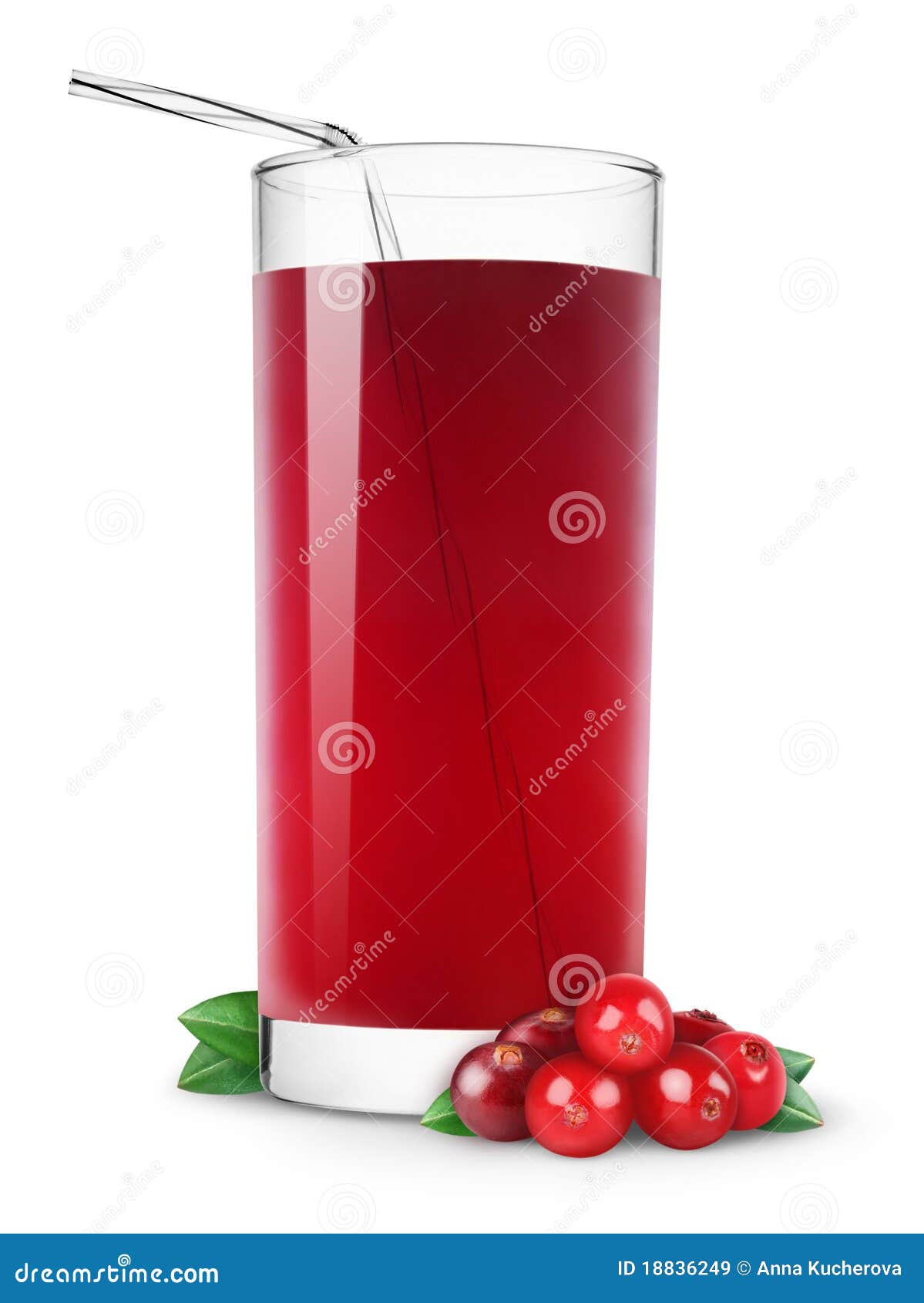 Preiselbeersaft stockbild. Bild von saft, frisch, makro - 18836249