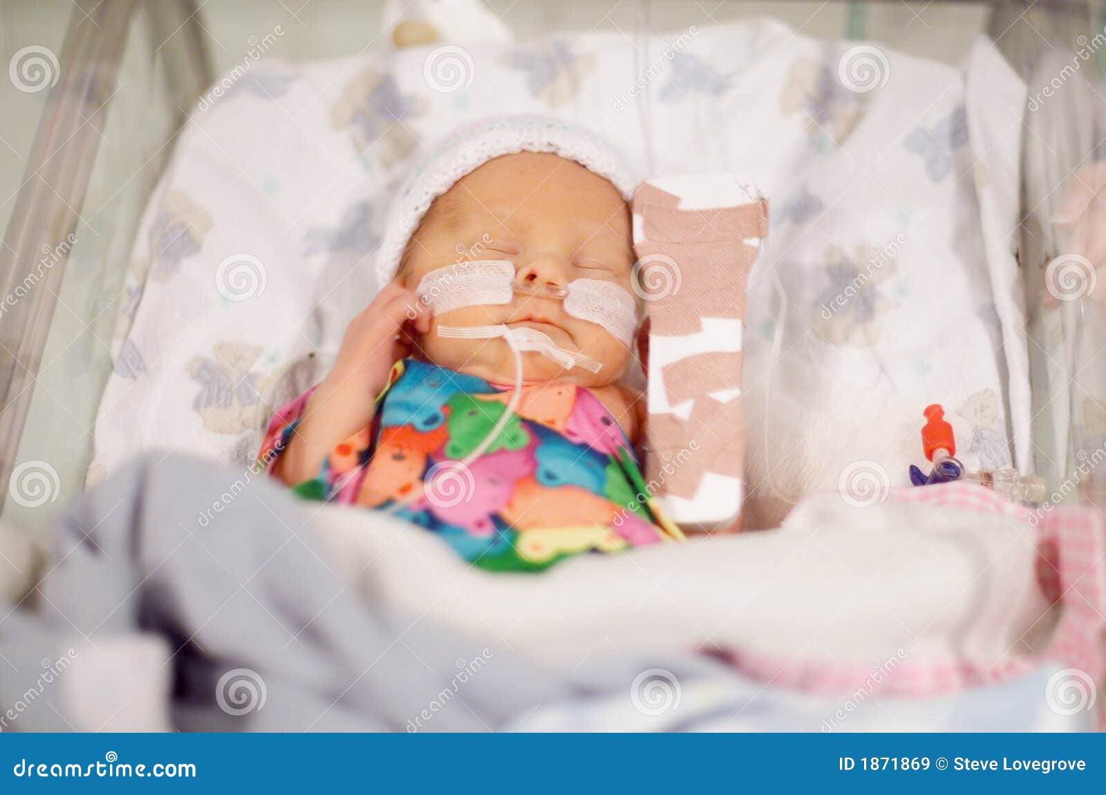 Premature Baby stock image. Image of love, hospital, intensive - 1871869