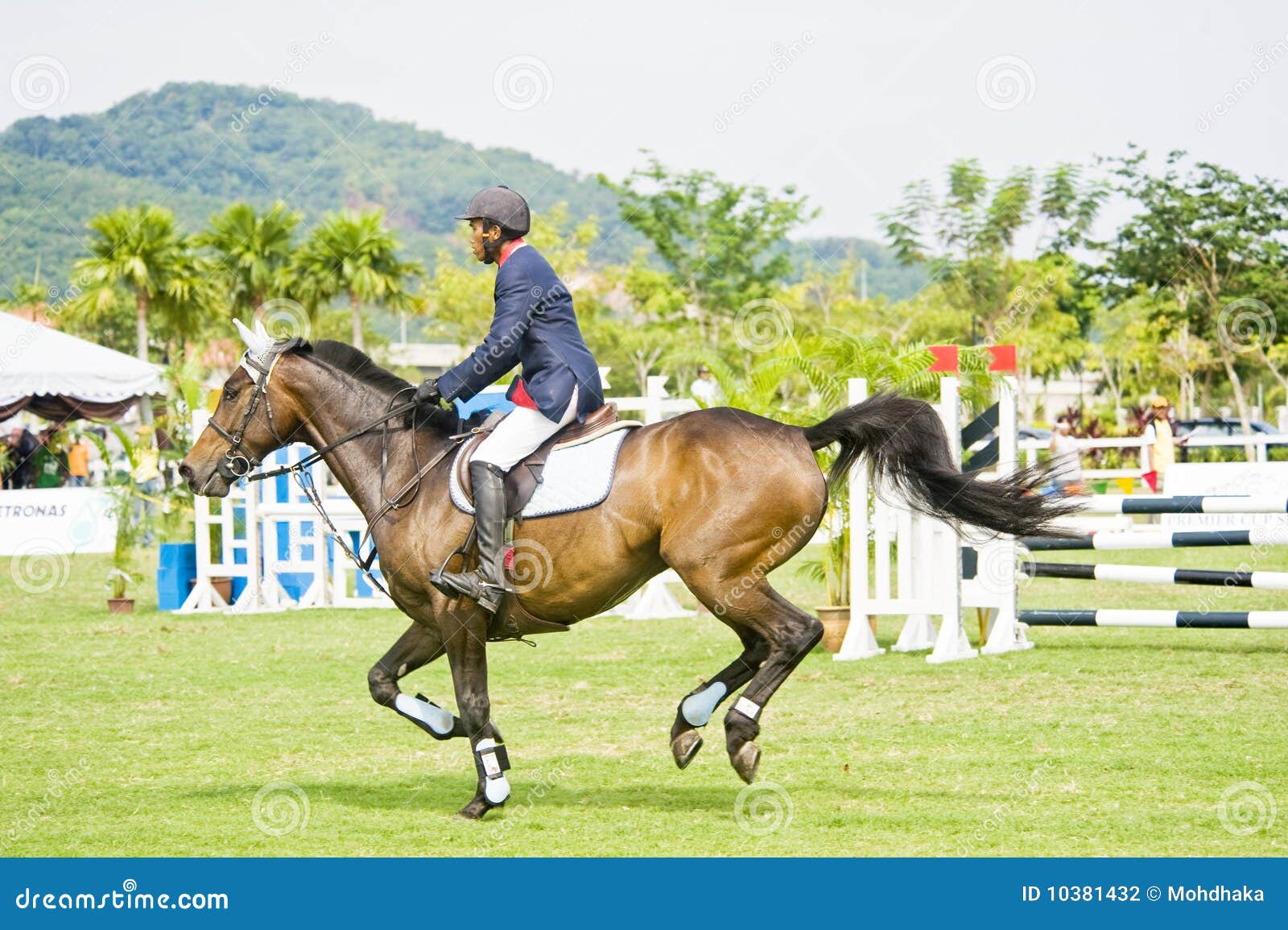 Premier Cup Equestrian Show Jumping Editorial Photography - Image of ...