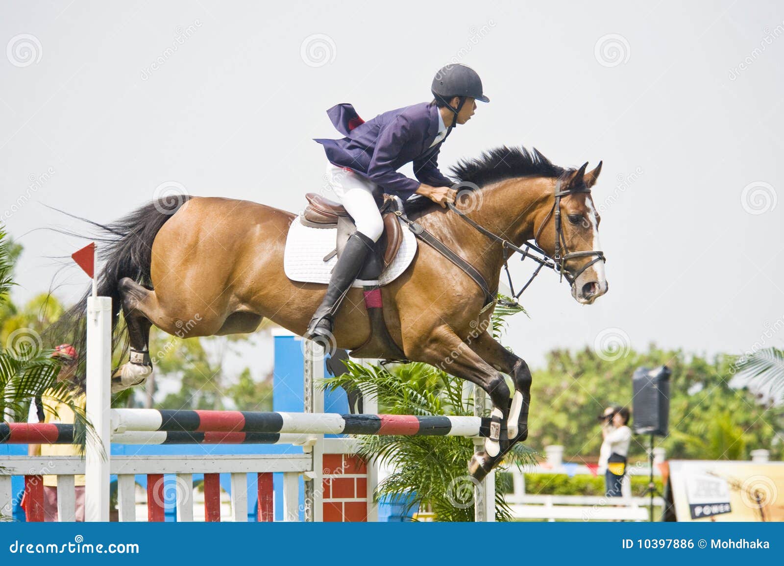 Premier Cup Equestrian Show Jumping Editorial Photo - Image of fast ...